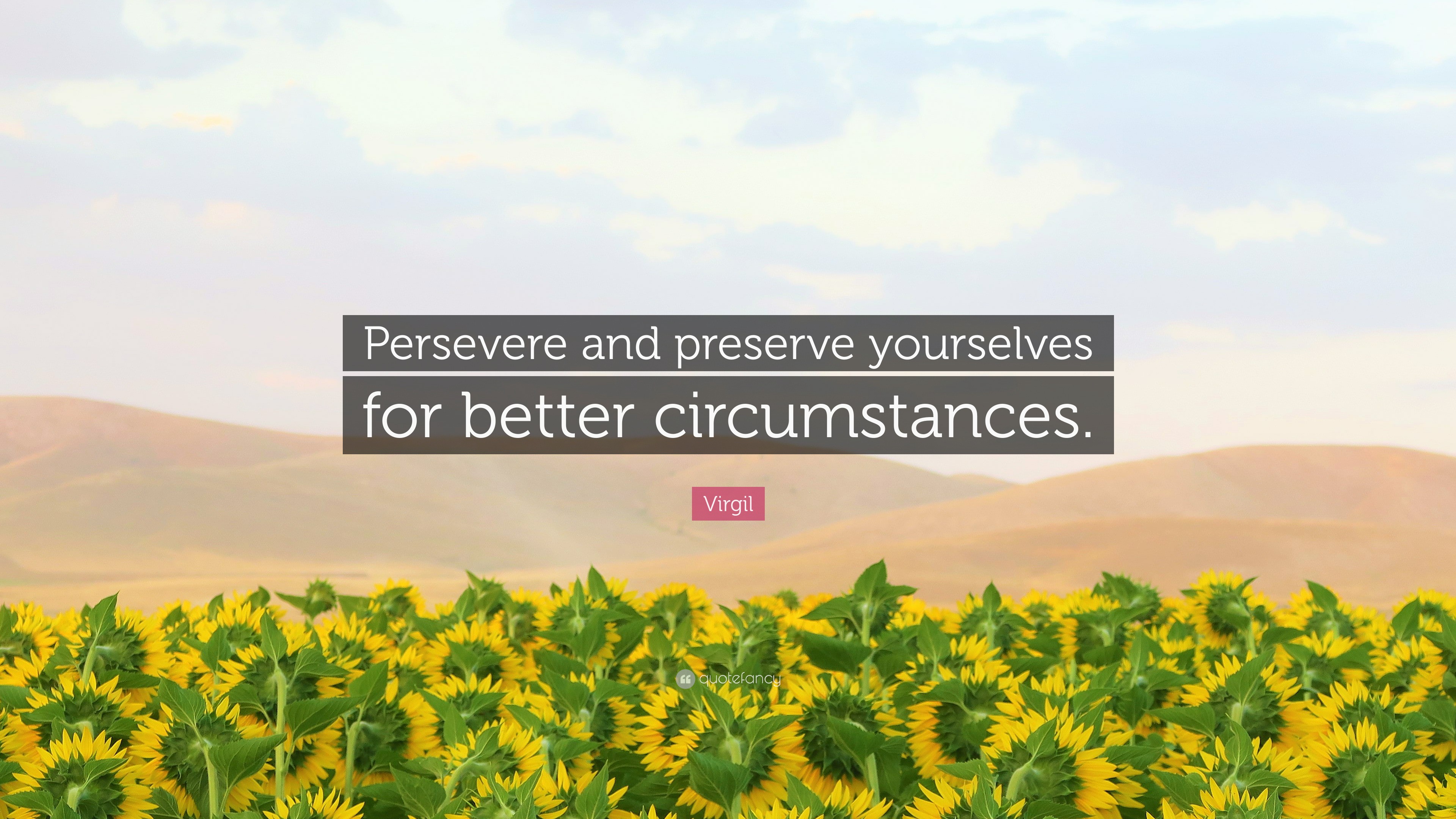 Virgil Quote: “Persevere and preserve yourselves for better circumstances.”