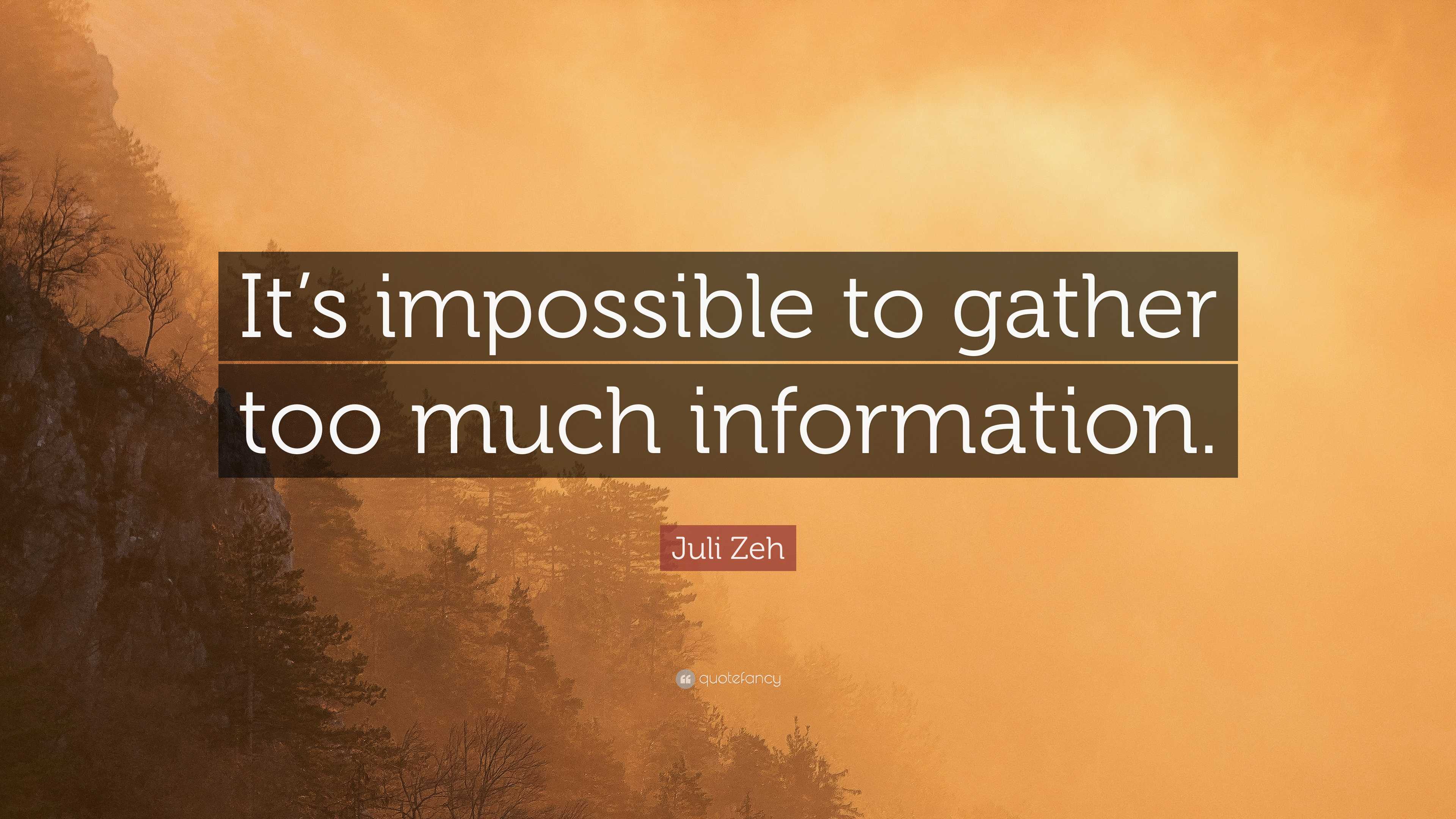 Juli Zeh Quote: “It’s impossible to gather too much information.”