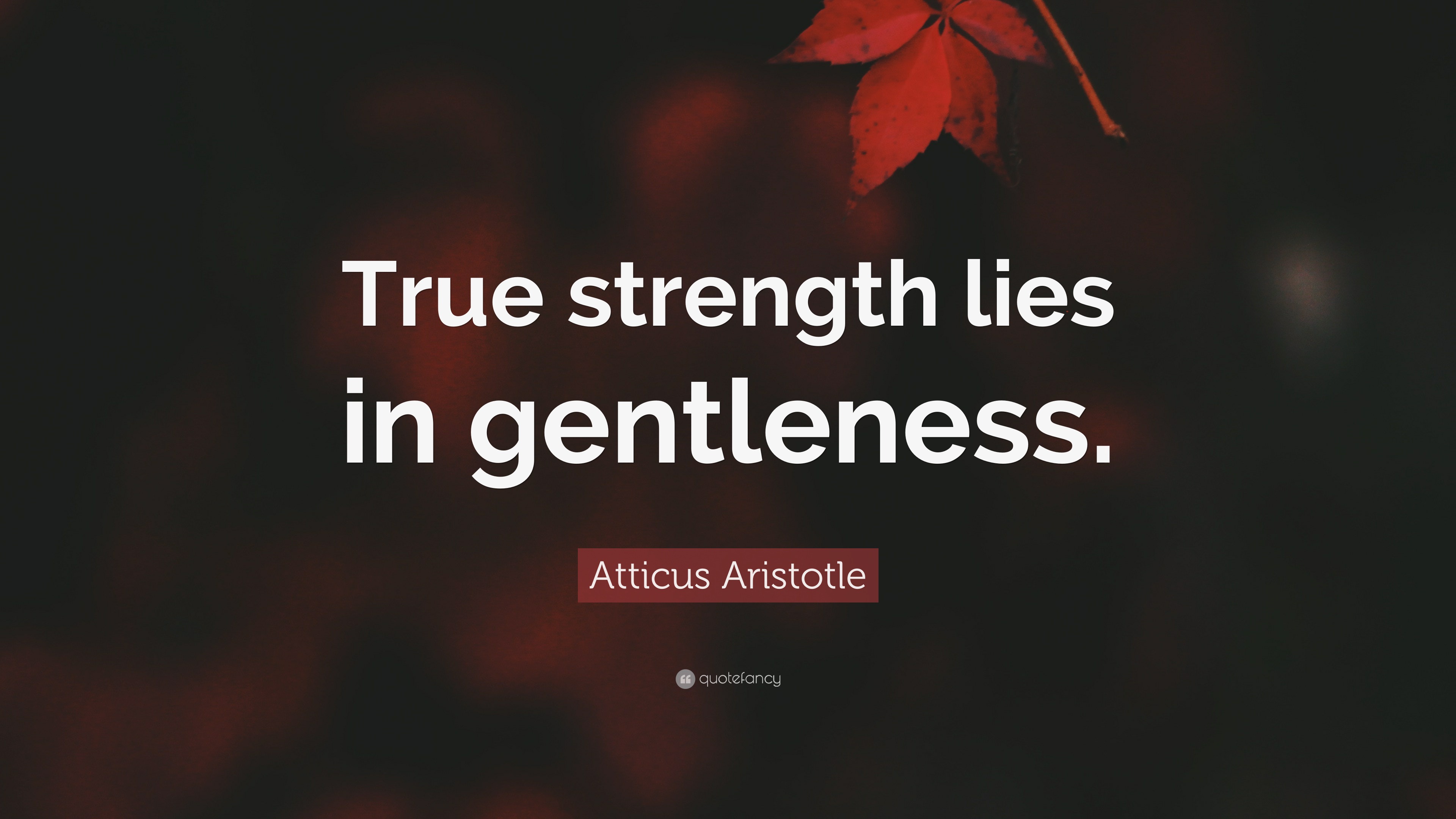 Atticus Aristotle Quote: “True strength lies in gentleness.”