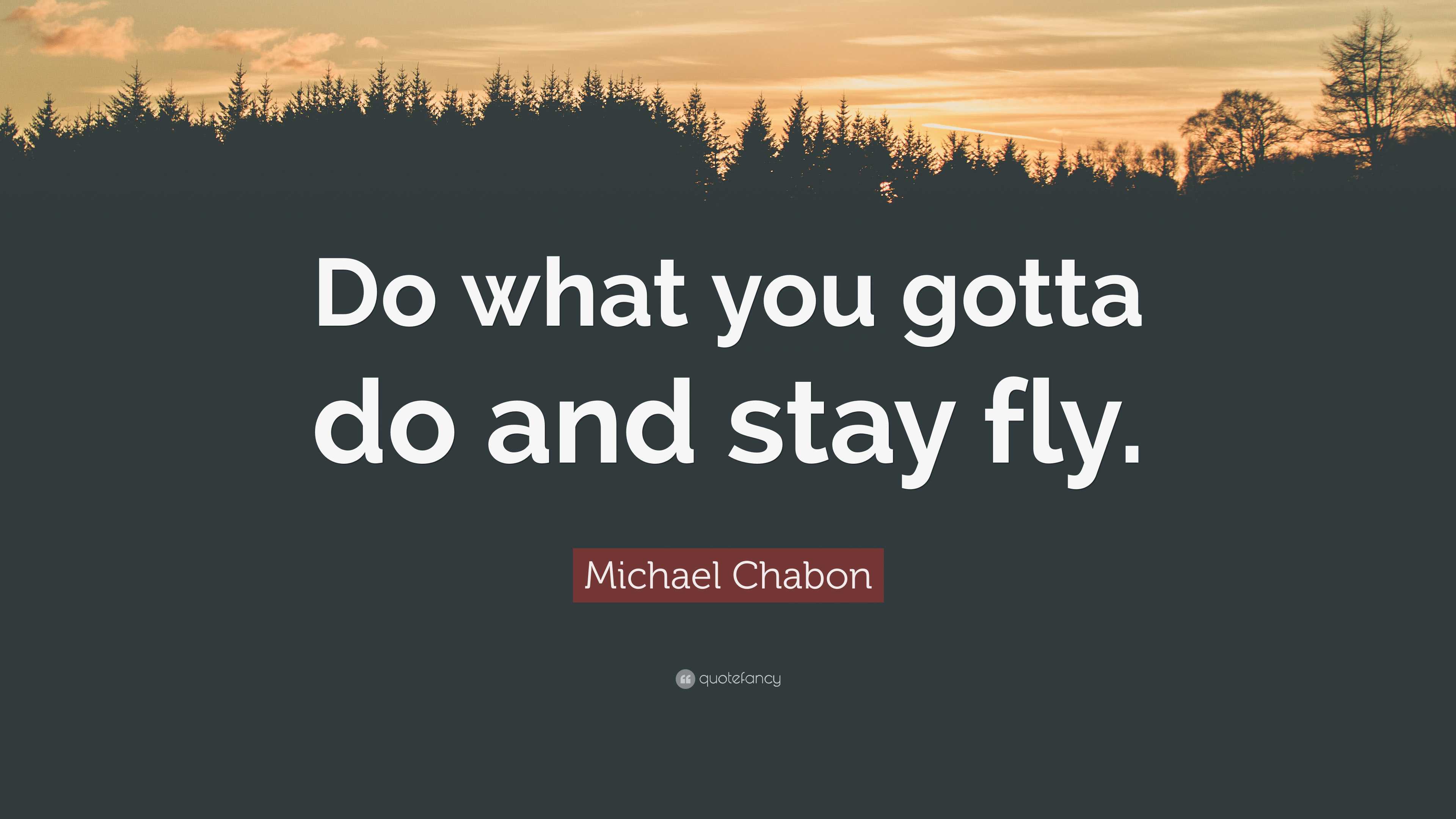 Michael Chabon Quote: “Do what you gotta do and stay fly.”