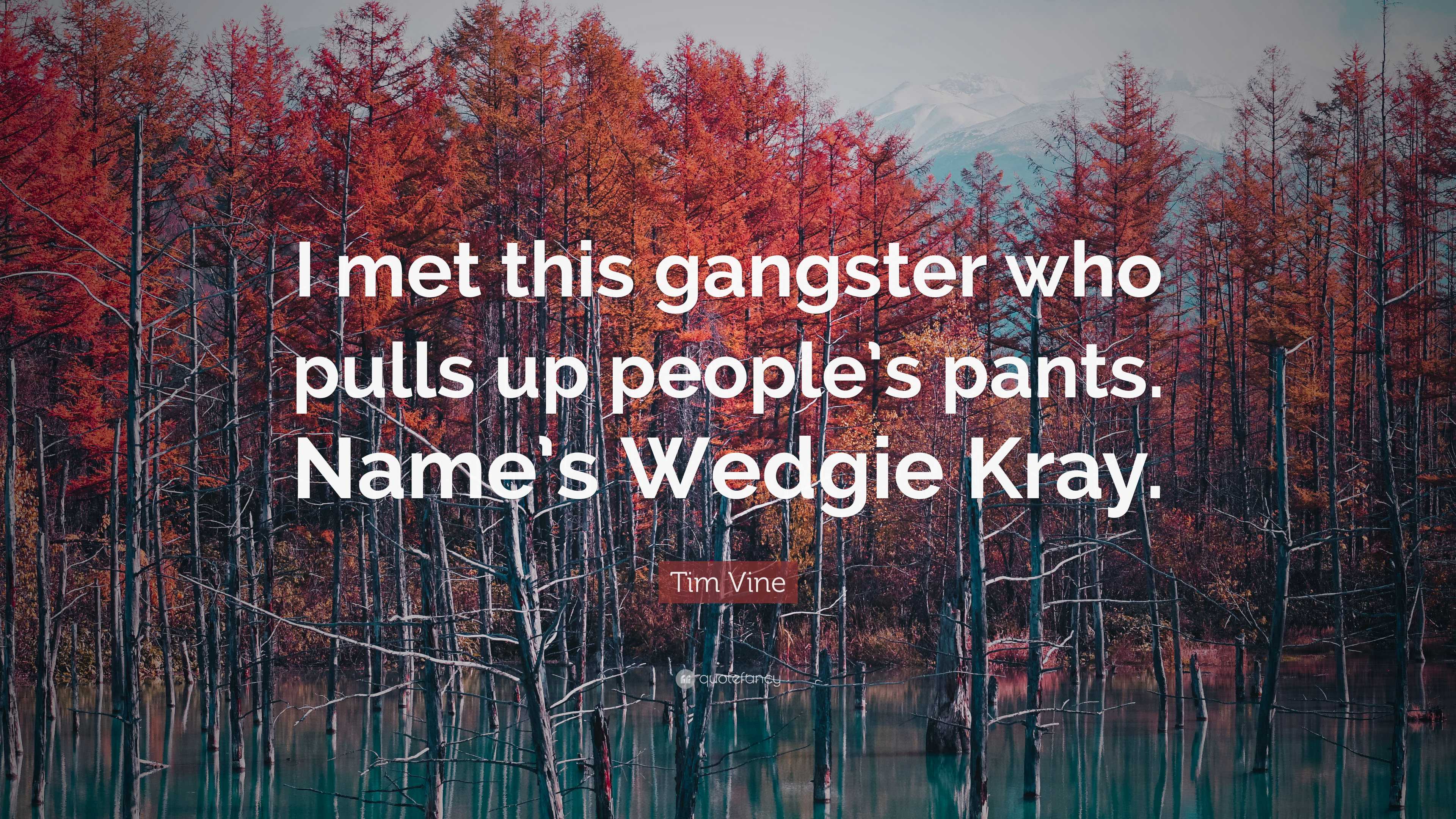 Tim Vine Quote: “I met this gangster who pulls up people’s pants. Name ...
