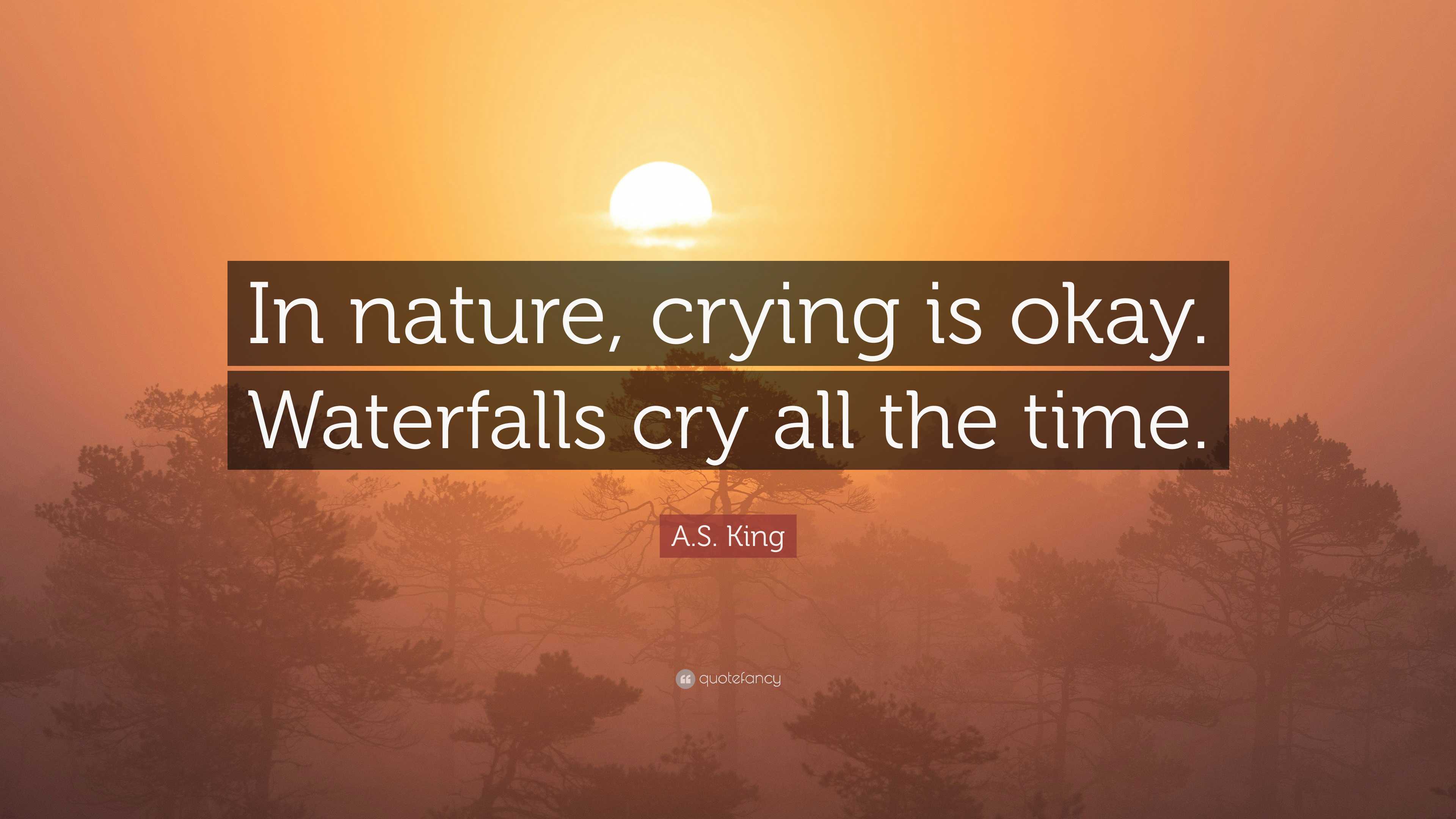 A.S. King Quote: “In nature, crying is okay. Waterfalls cry all the time.”