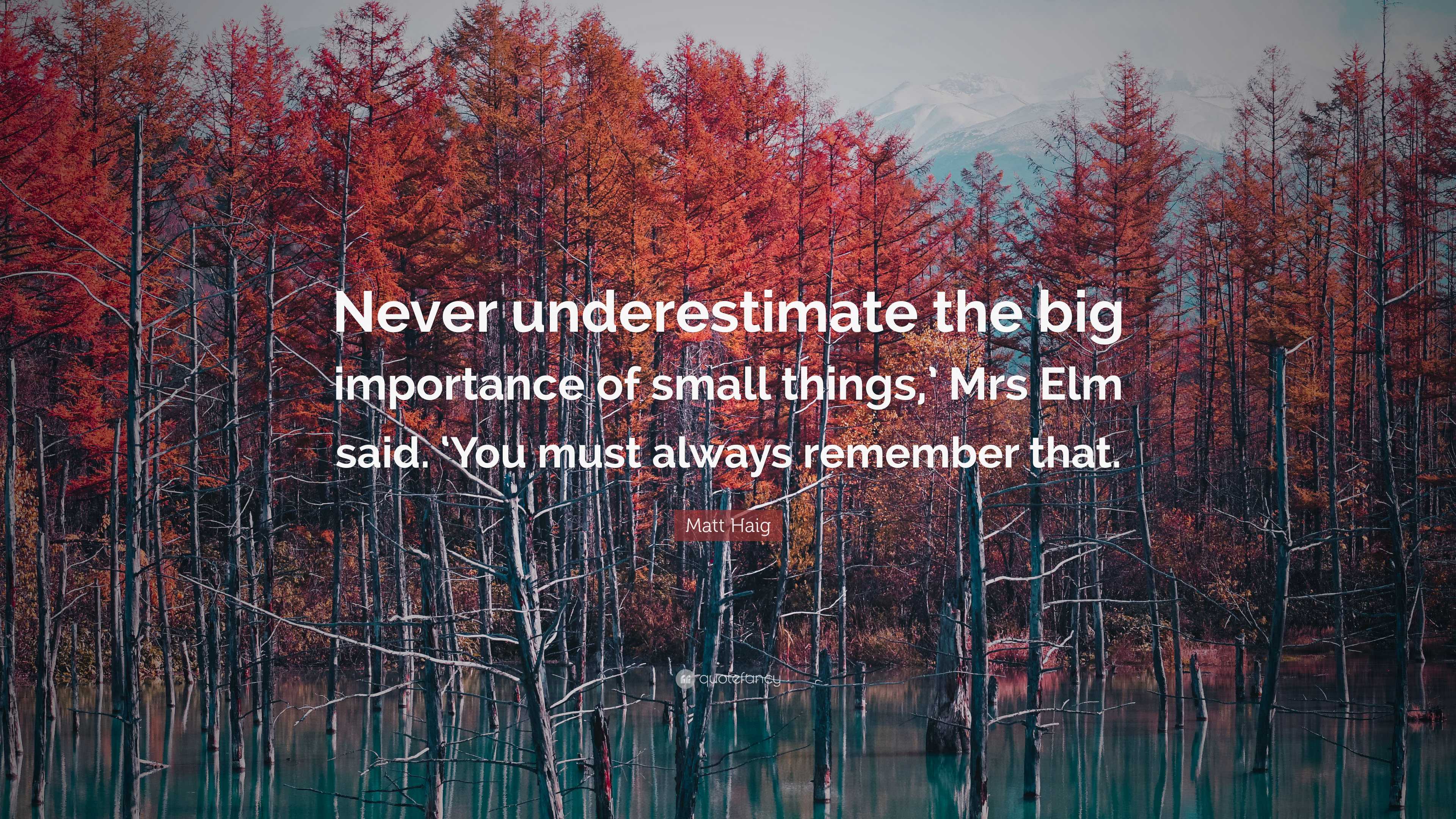 Matt Haig Quote: “Never underestimate the big importance of small ...