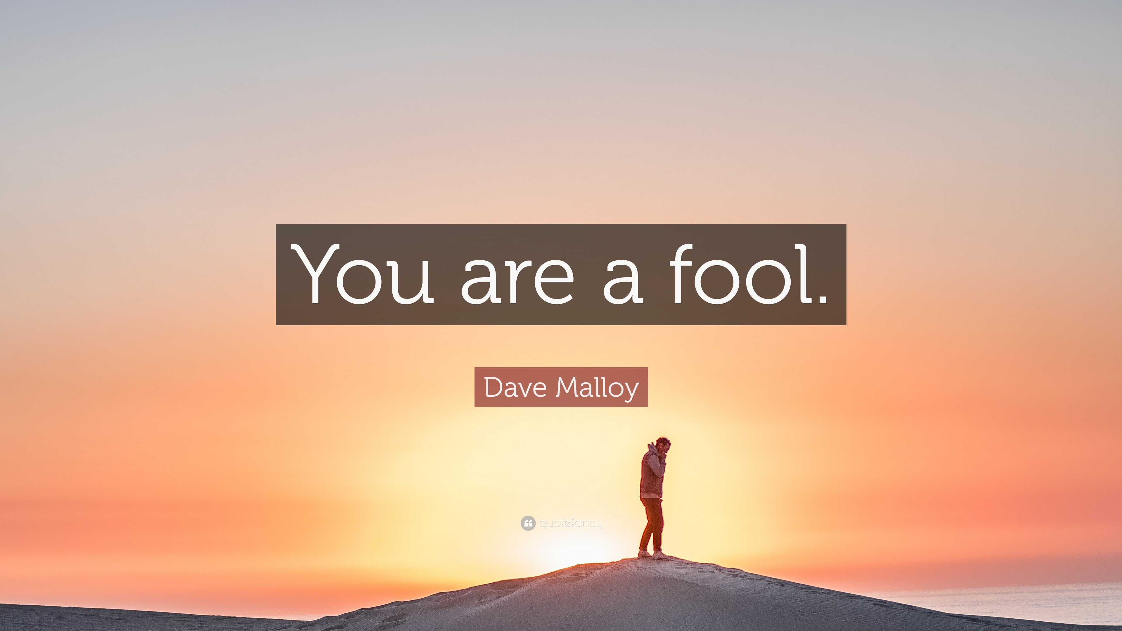 Dave Malloy Quote: “You are a fool.”