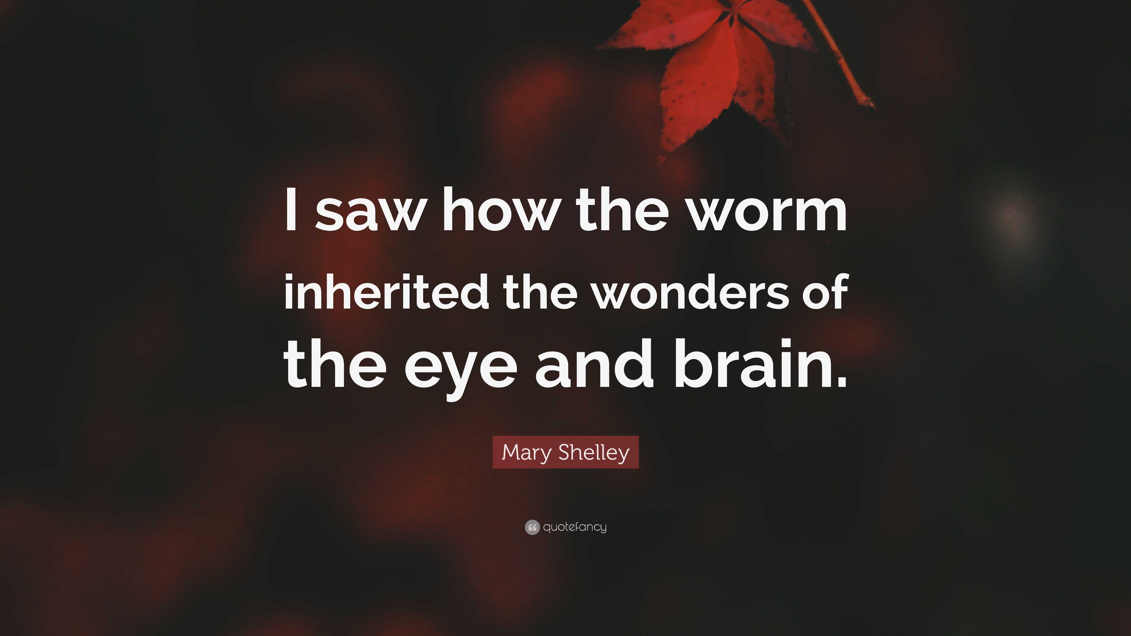 Mary Shelley Quote: “I saw how the worm inherited the wonders of the ...