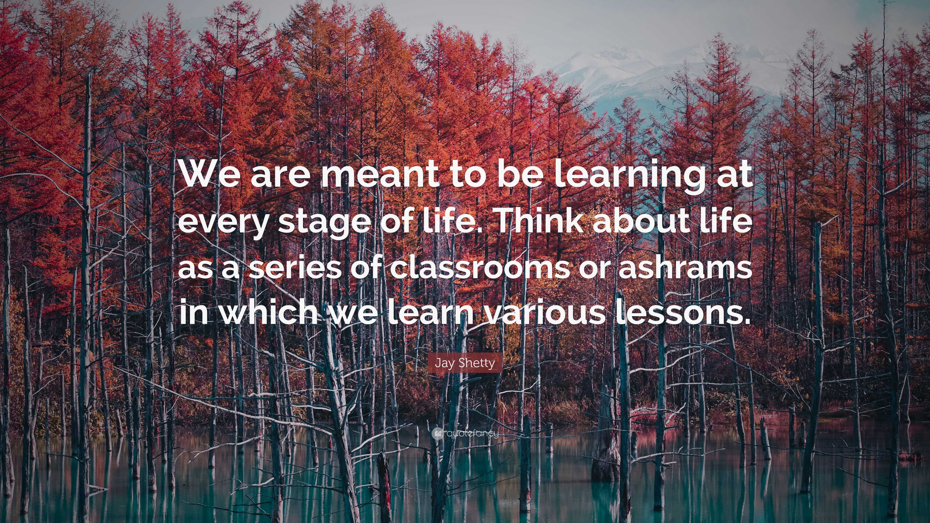 Jay Shetty Quote: “We are meant to be learning at every stage of life ...