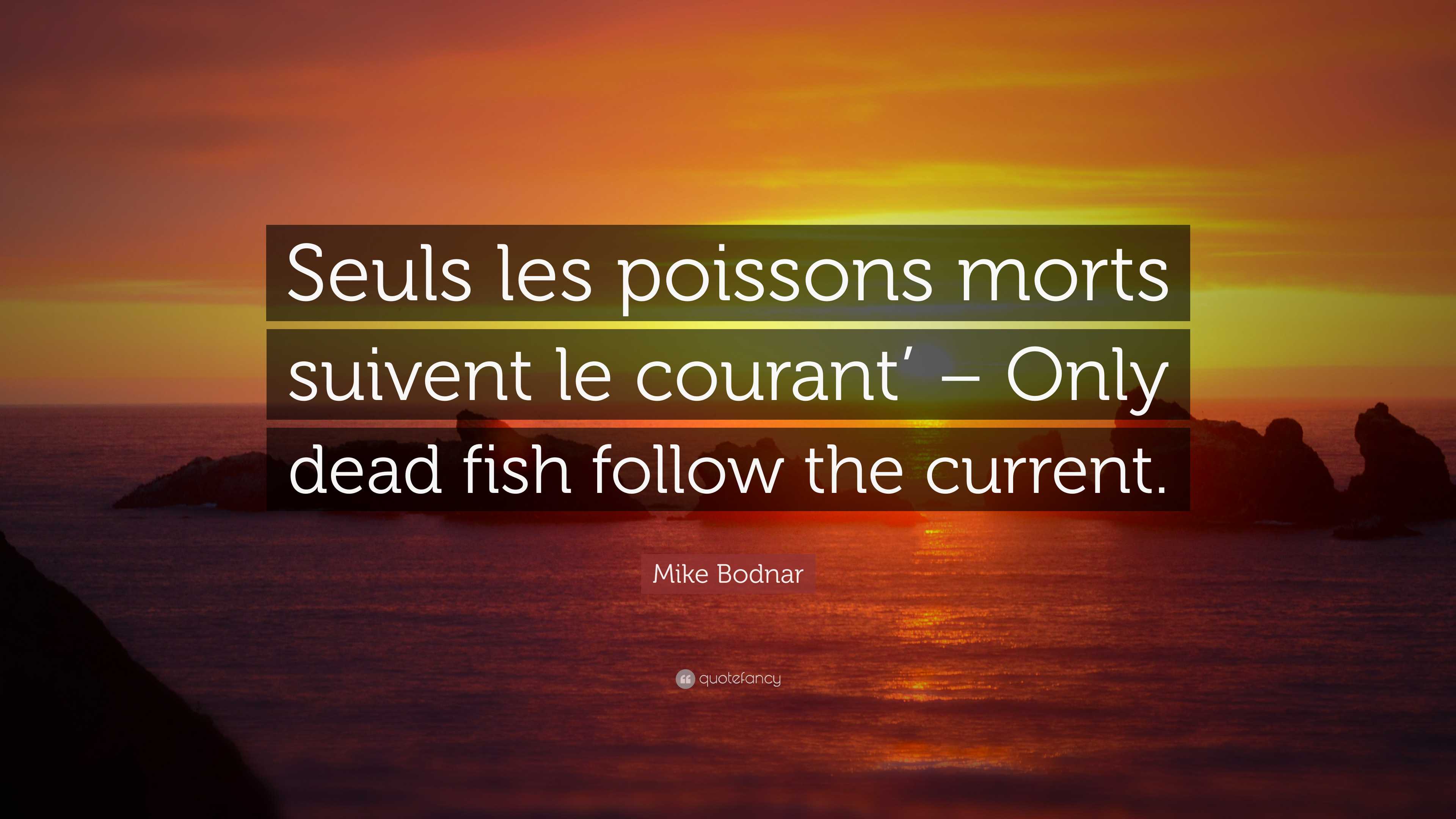 Mike Bodnar Quote: “Seuls les poissons morts suivent le courant’ – Only ...