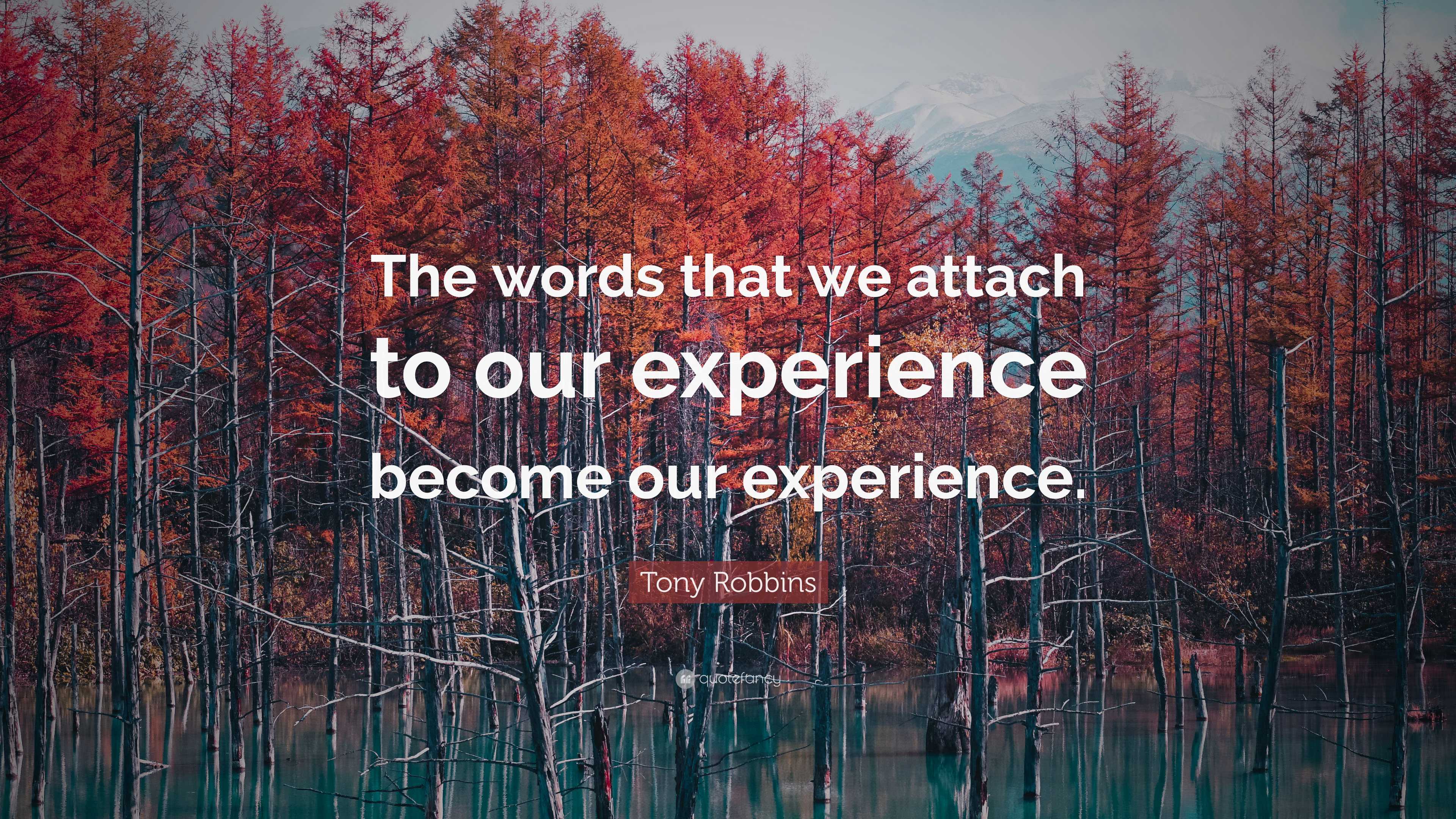 Tony Robbins Quote: “The words that we attach to our experience become ...
