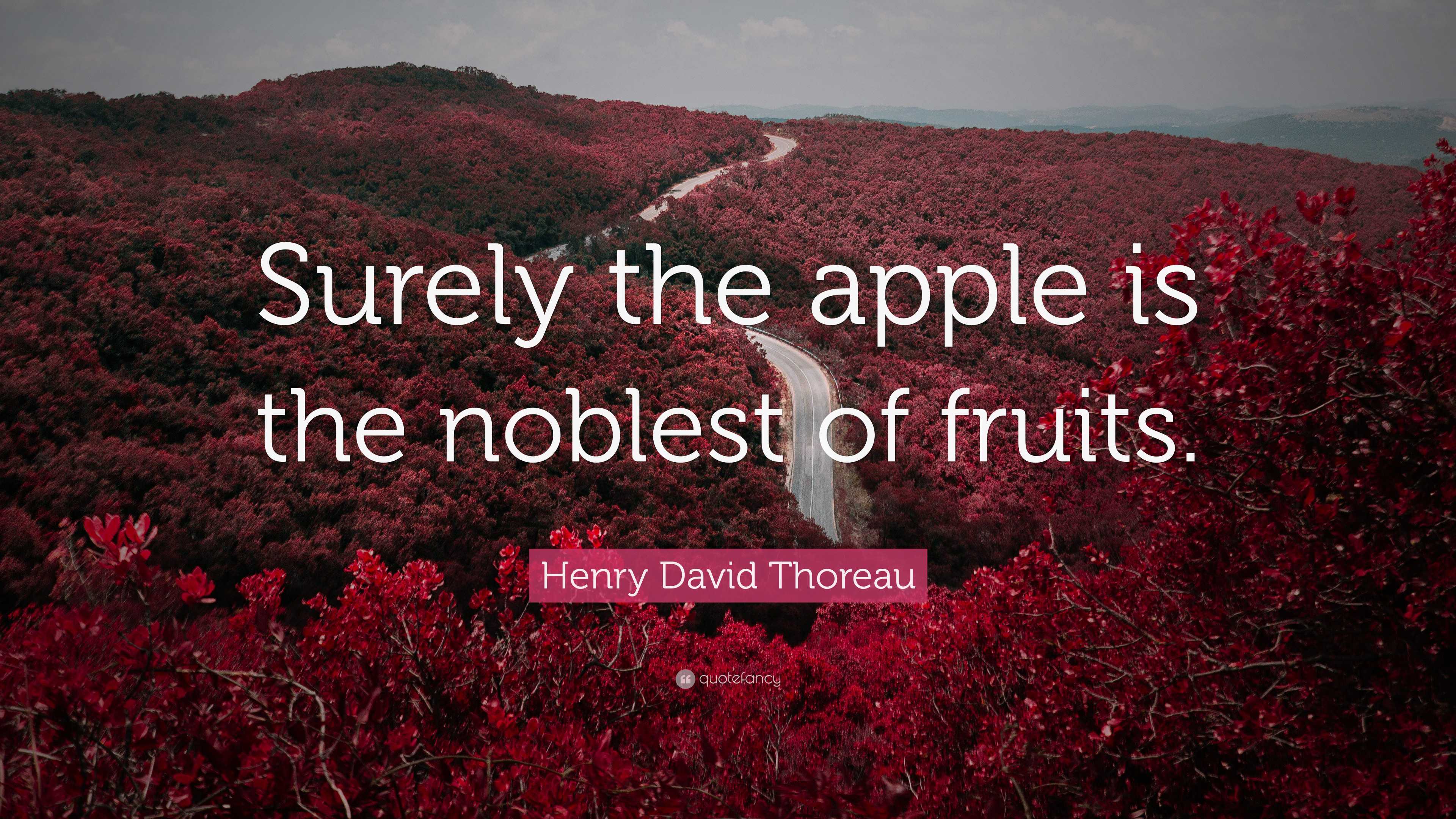 Henry David Thoreau Quote: “Surely the apple is the noblest of fruits.”