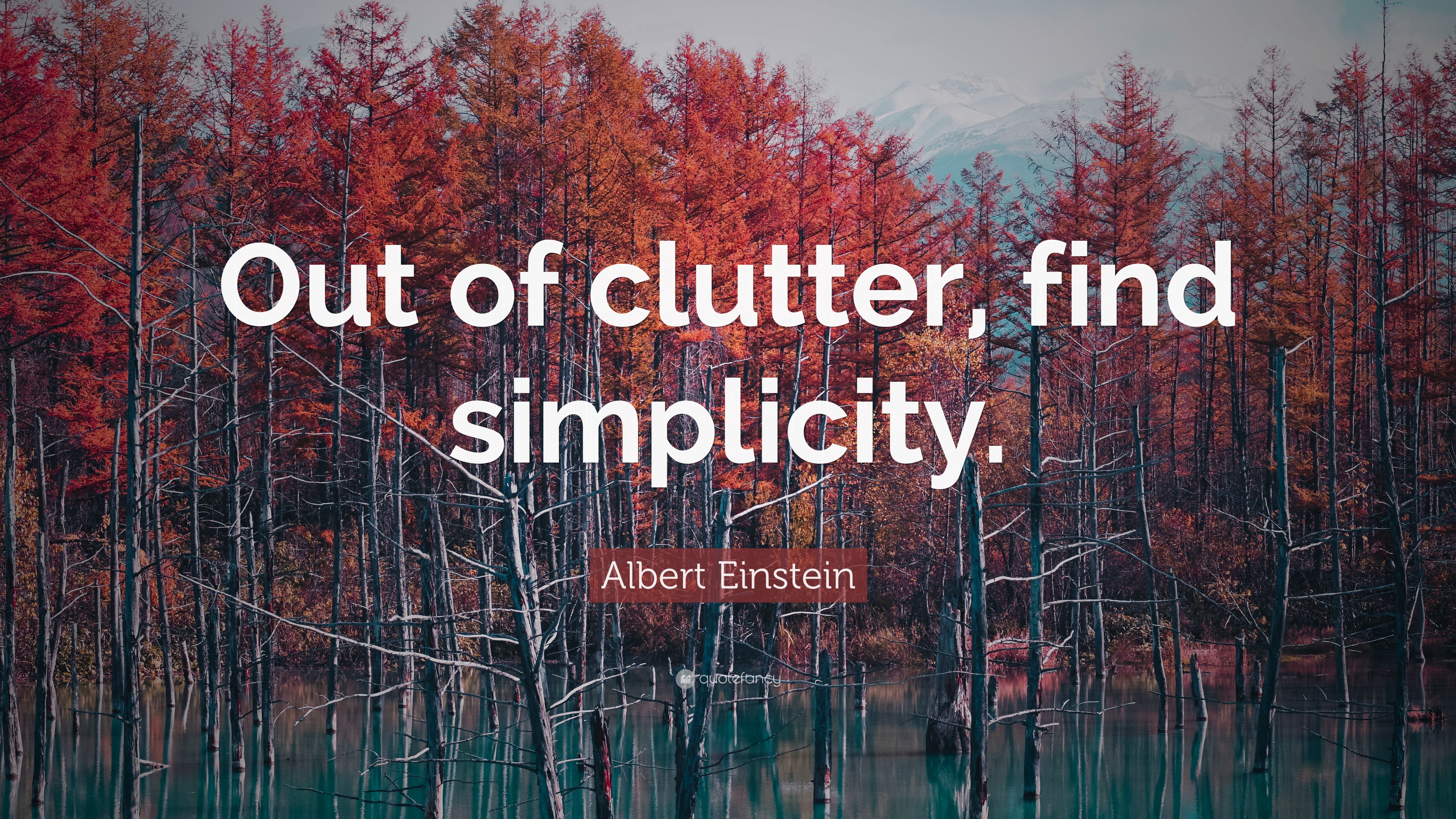 Albert Einstein Quote: “Out of clutter, find simplicity.”