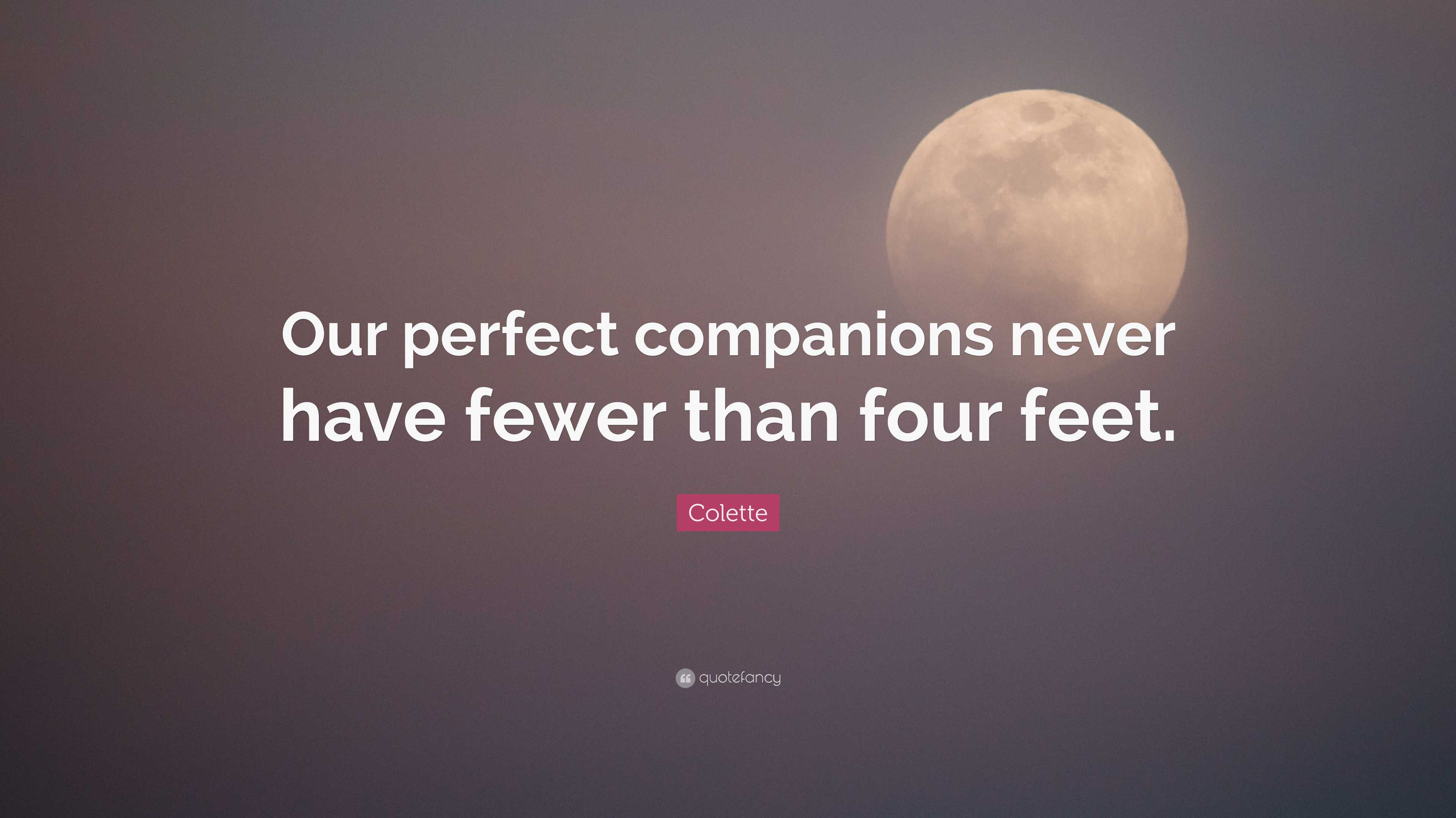 Colette Quote: “Our perfect companions never have fewer than four feet.”