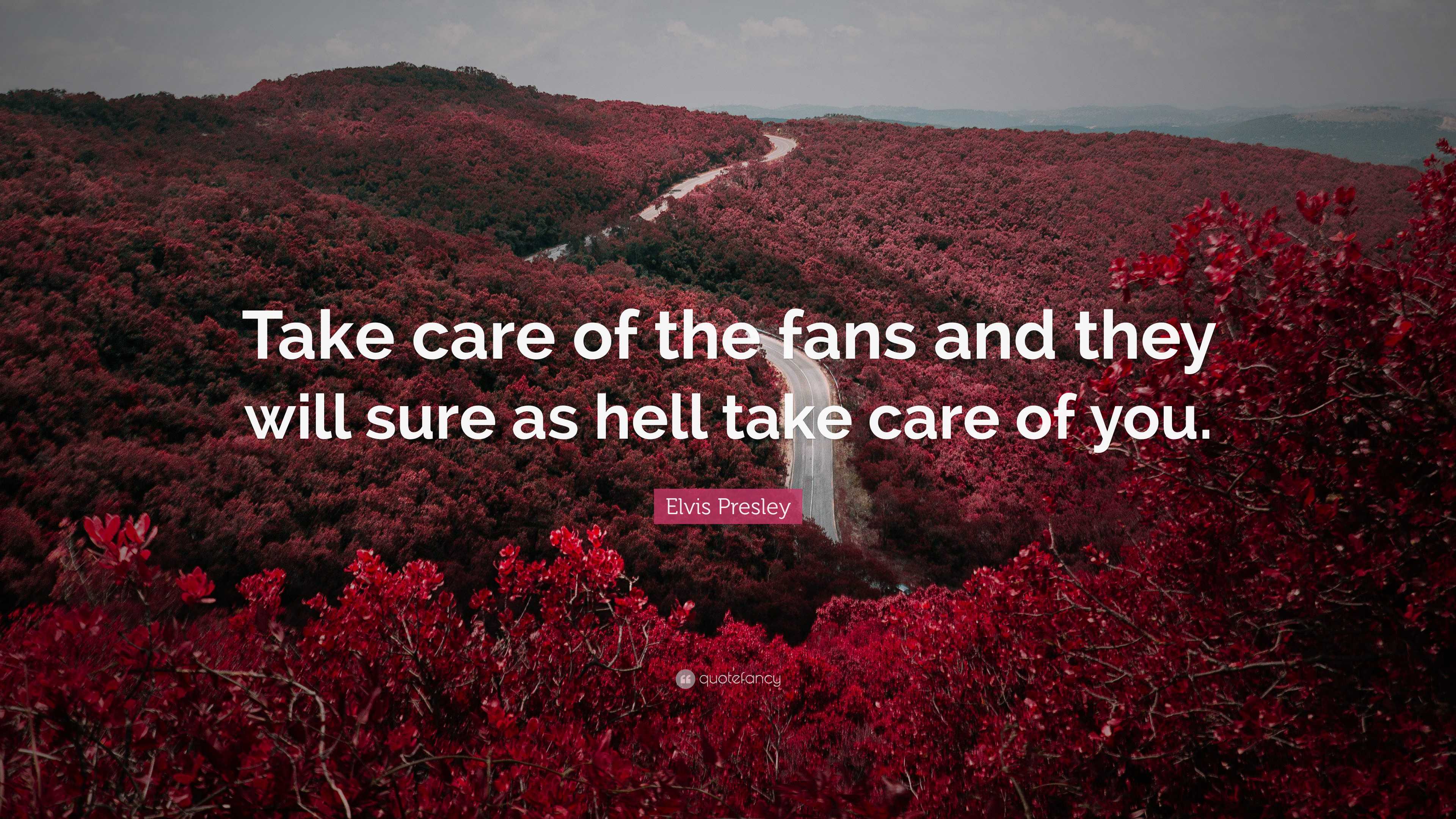 Elvis Presley Quote: “Take care of the fans and they will sure as hell ...