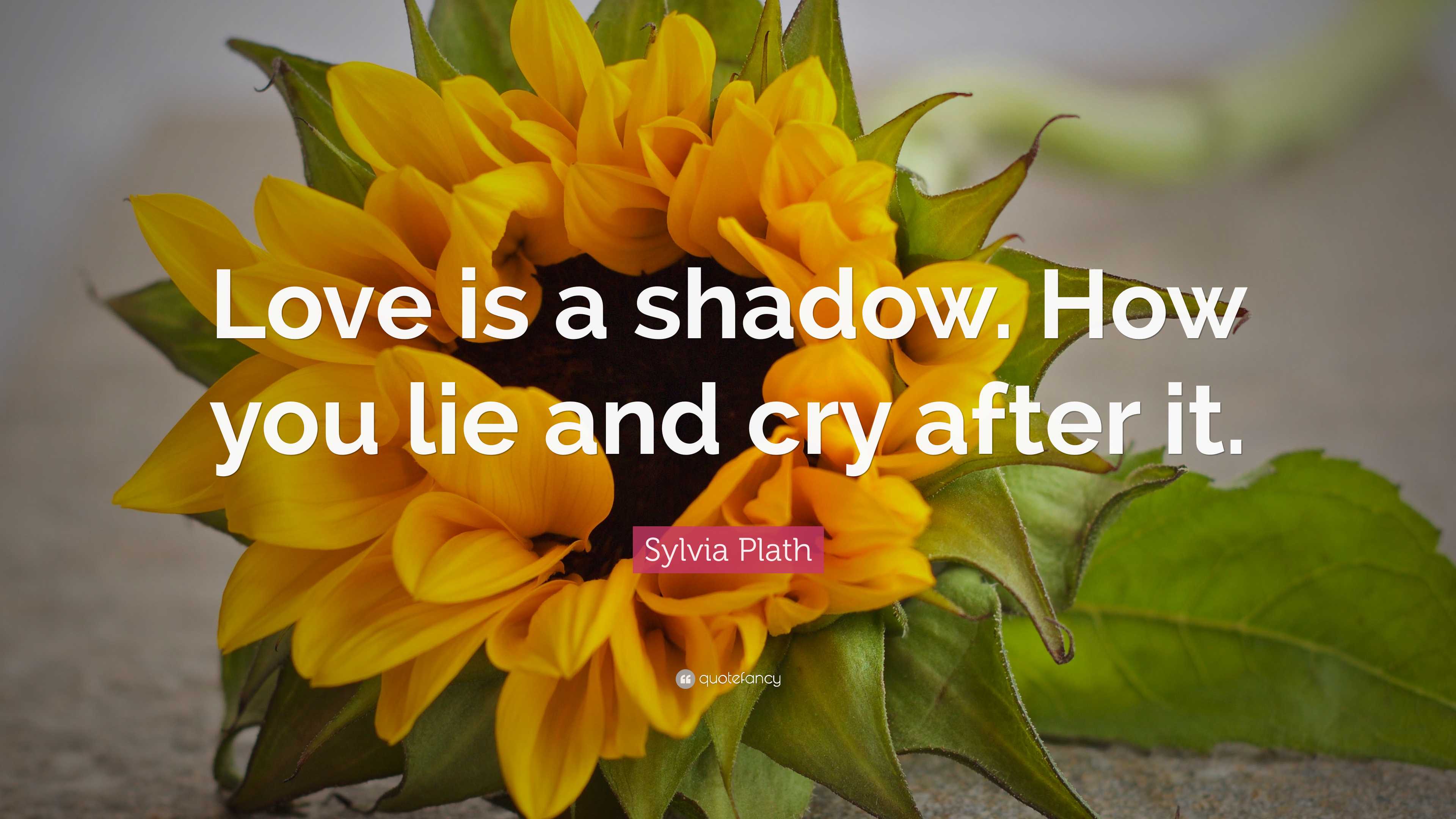 Sylvia Plath Quote: “Love is a shadow. How you lie and cry after it.”