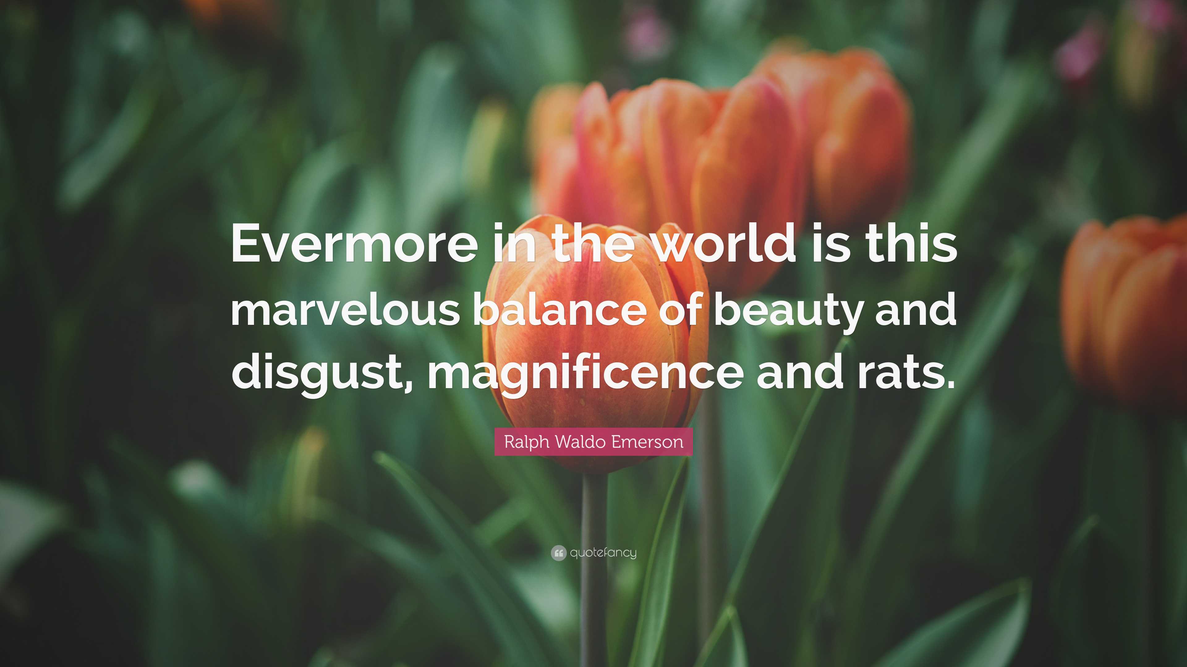 Ralph Waldo Emerson Quote: “Evermore in the world is this marvelous ...
