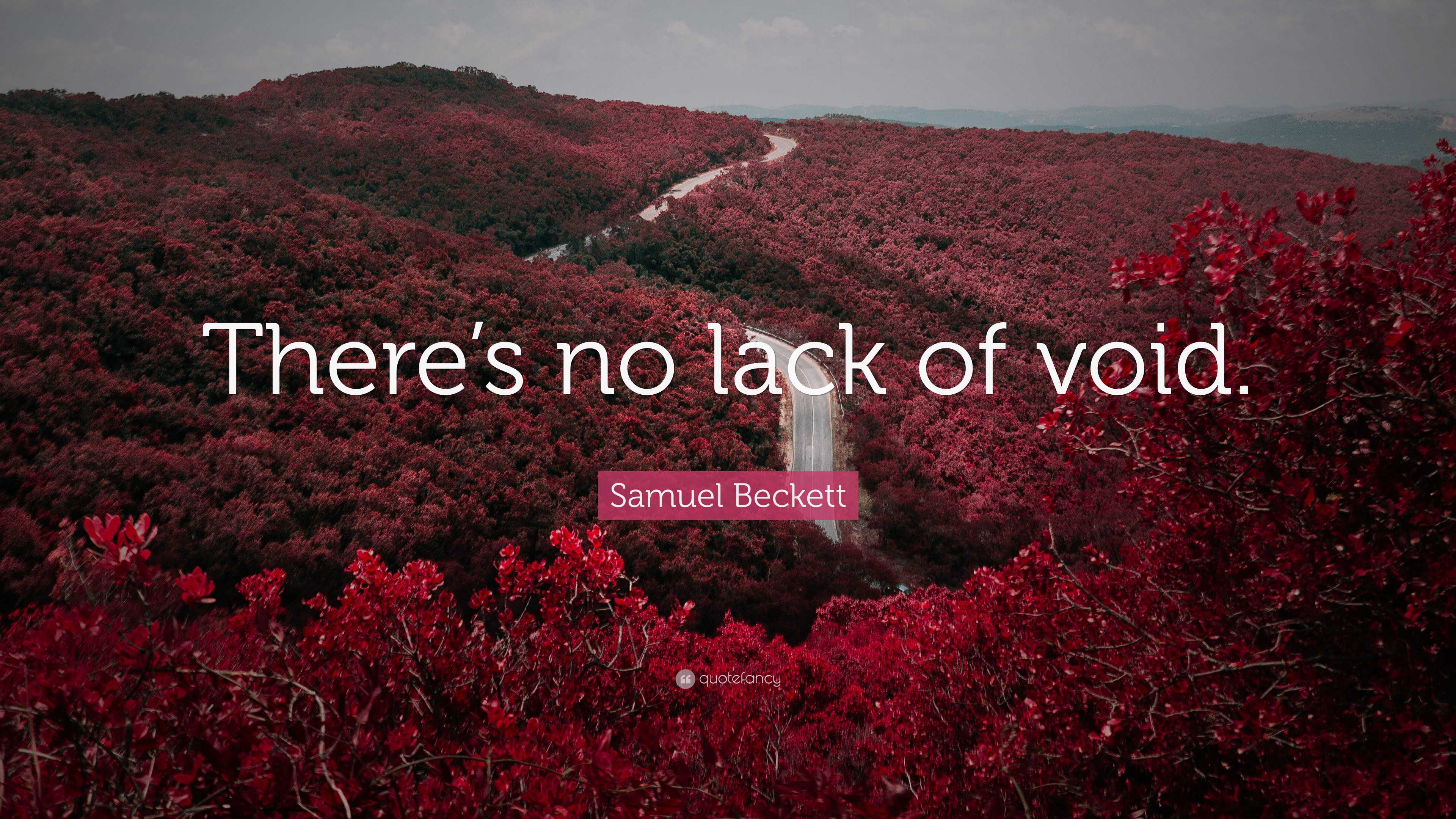 Samuel Beckett Quote: “There’s no lack of void.”