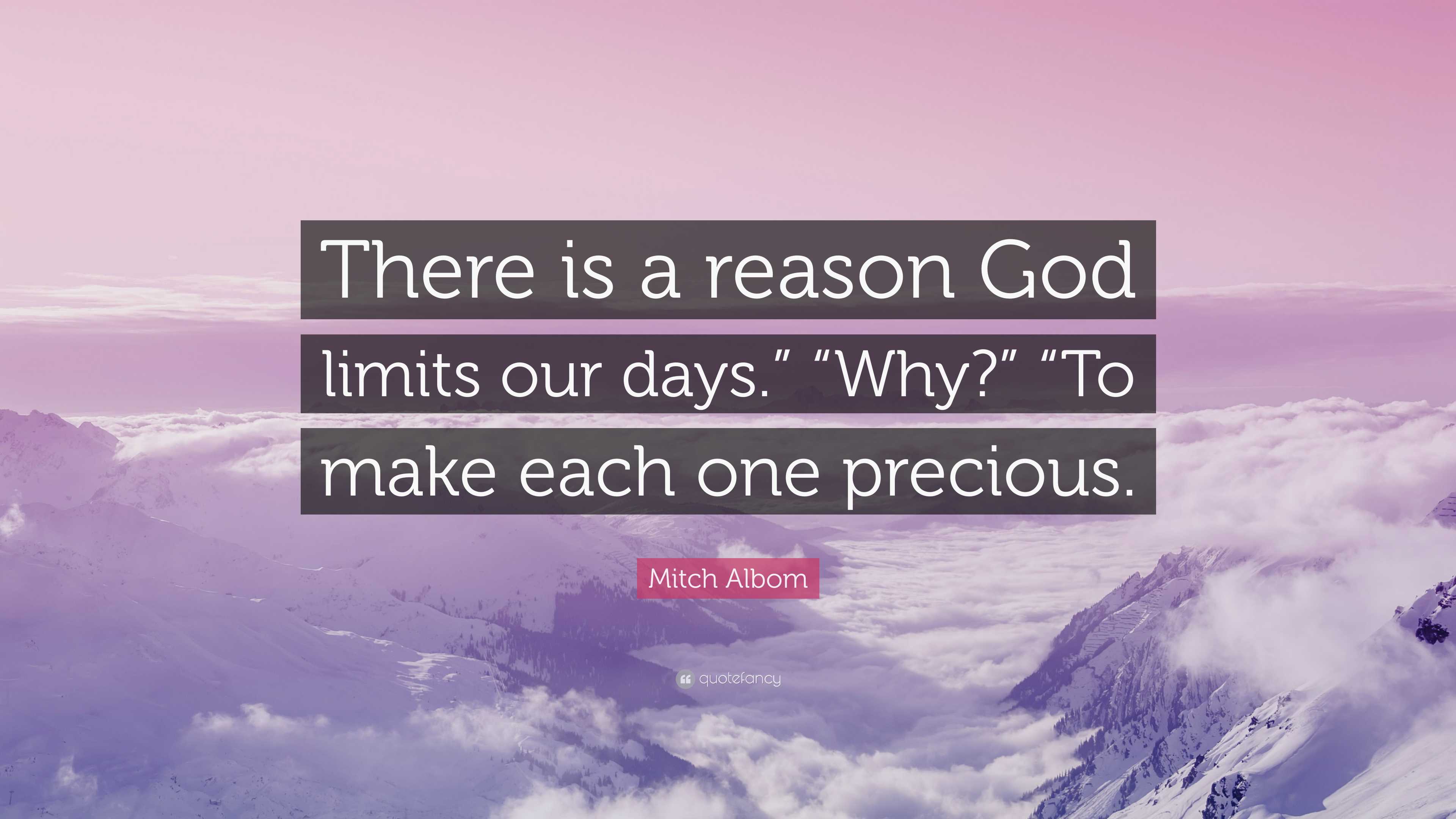 Mitch Albom God Quotes The Stranger In The Lifeboat Quotes | TikTok