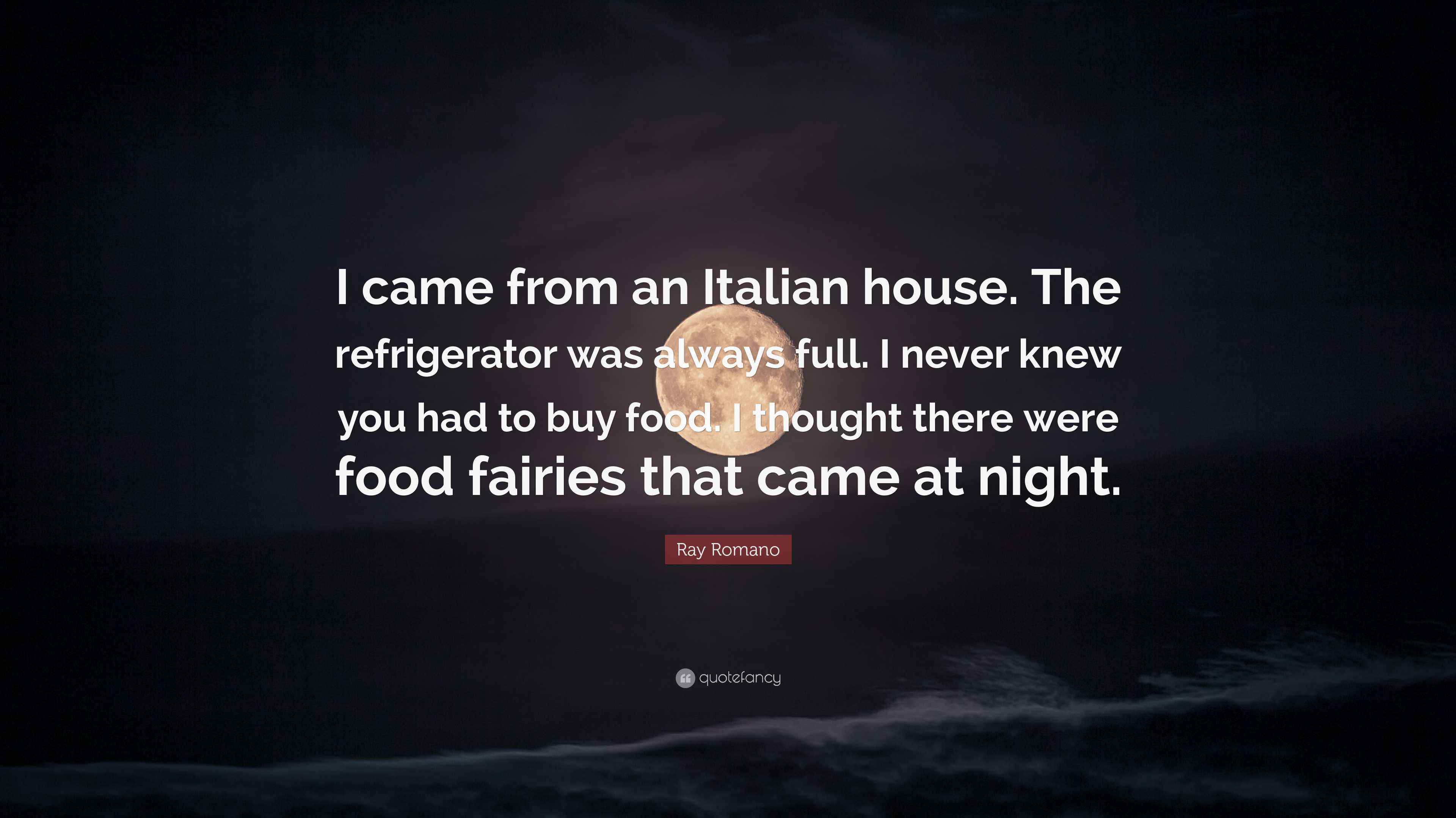 Ray Romano Quote: “I came from an Italian house. The refrigerator was ...