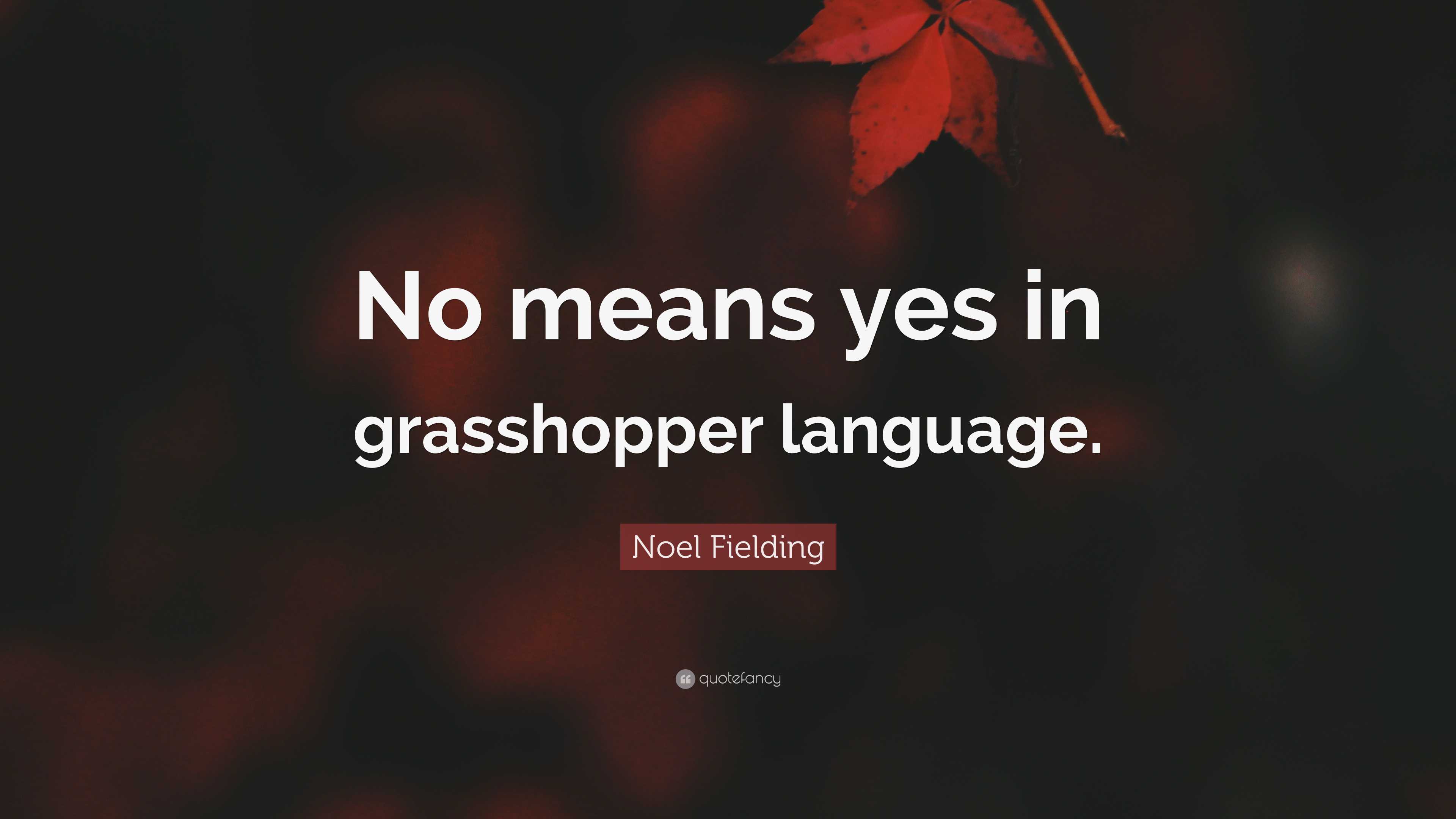 Noel Fielding Quote: “No means yes in grasshopper language.”