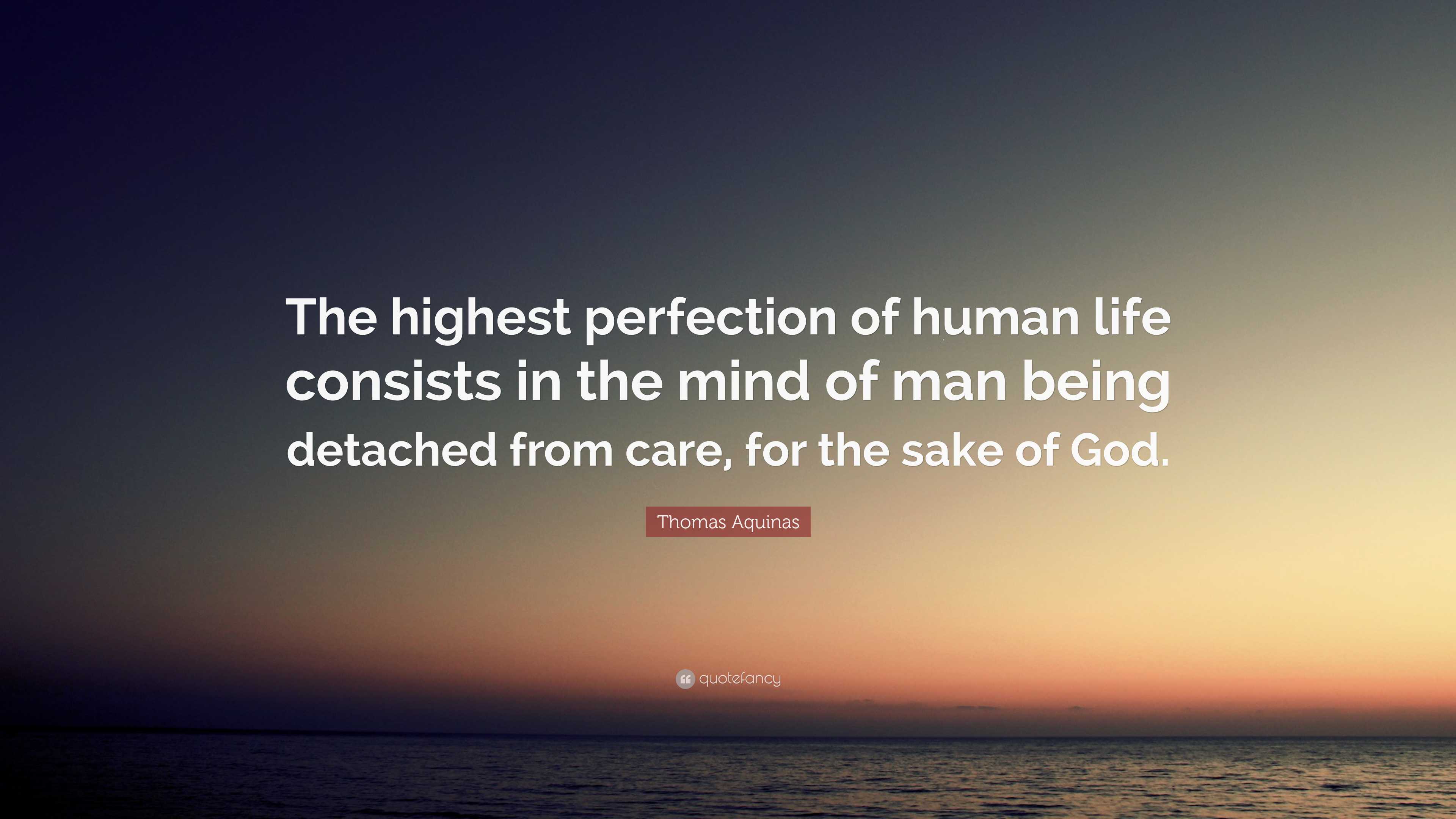 Thomas Aquinas Quote: “The highest perfection of human life consists in ...