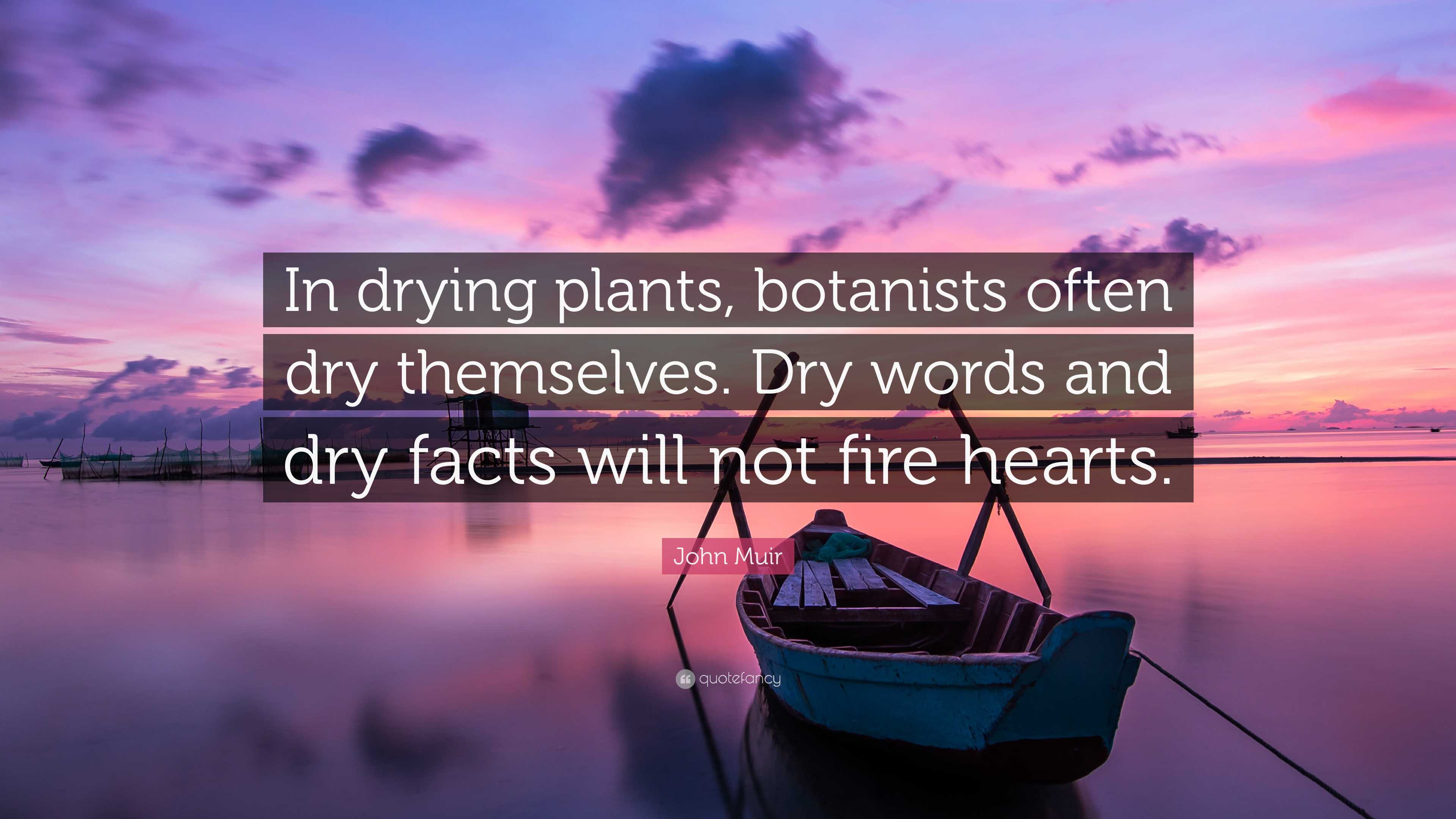 John Muir Quote: “In drying plants, botanists often dry themselves. Dry ...