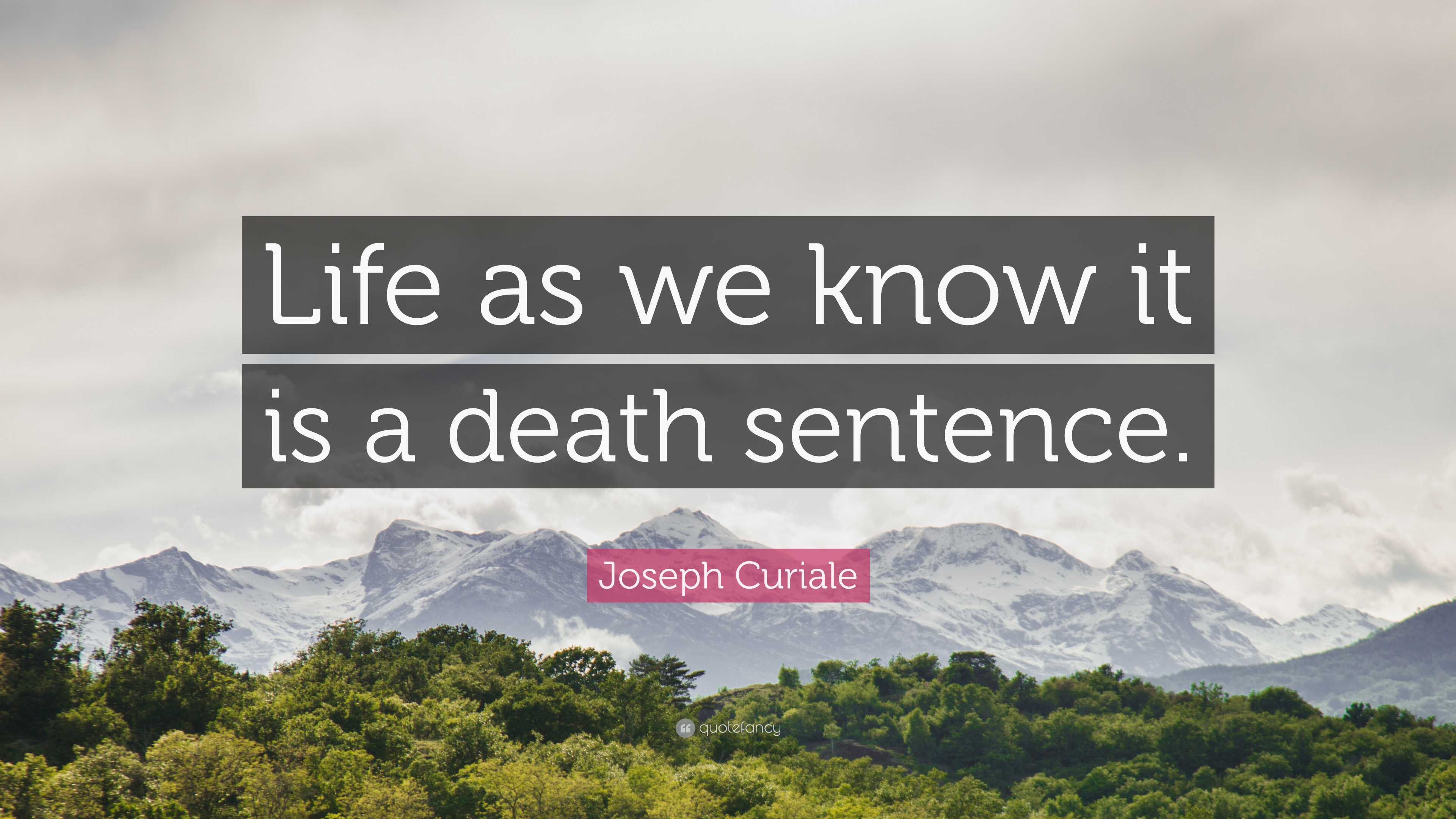 Joseph Curiale Quote: “Life as we know it is a death sentence.”
