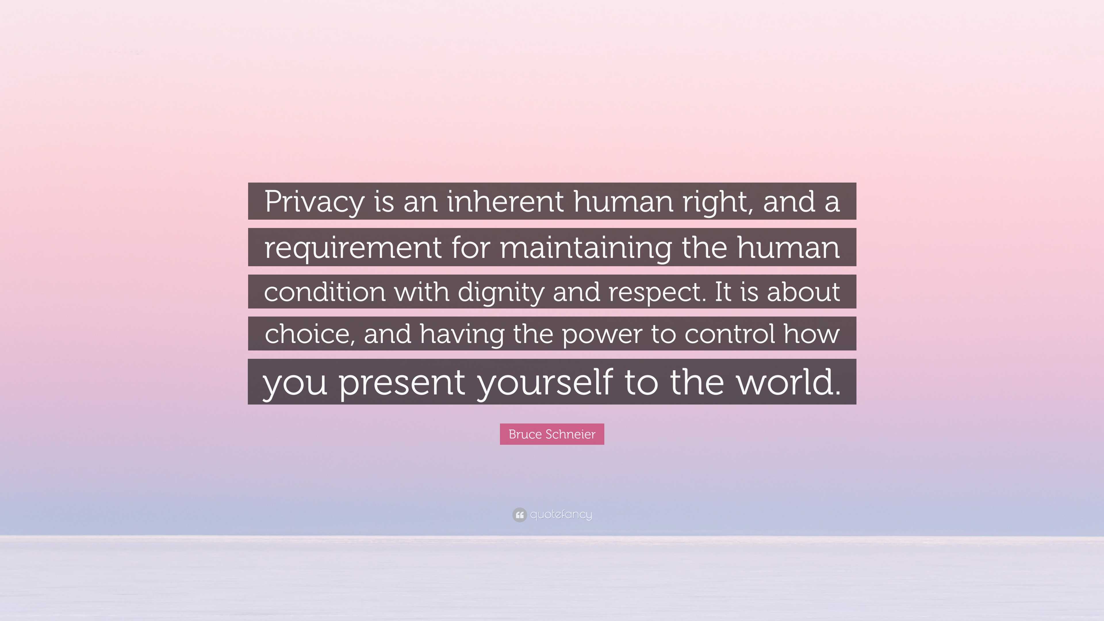 Bruce Schneier Quote: “Privacy is an inherent human right, and a ...