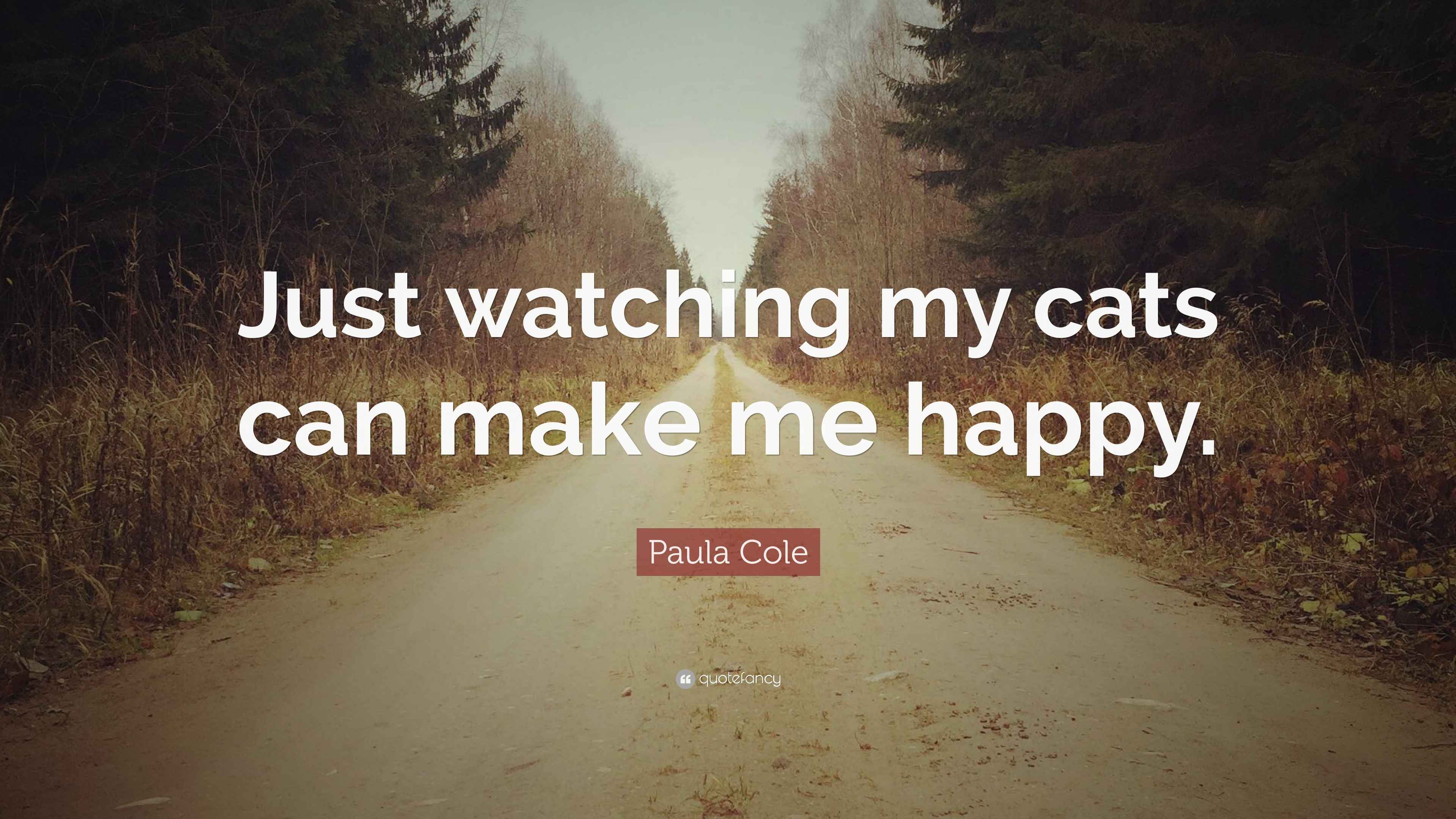 Paula Cole Quote: “Just watching my cats can make me happy.”