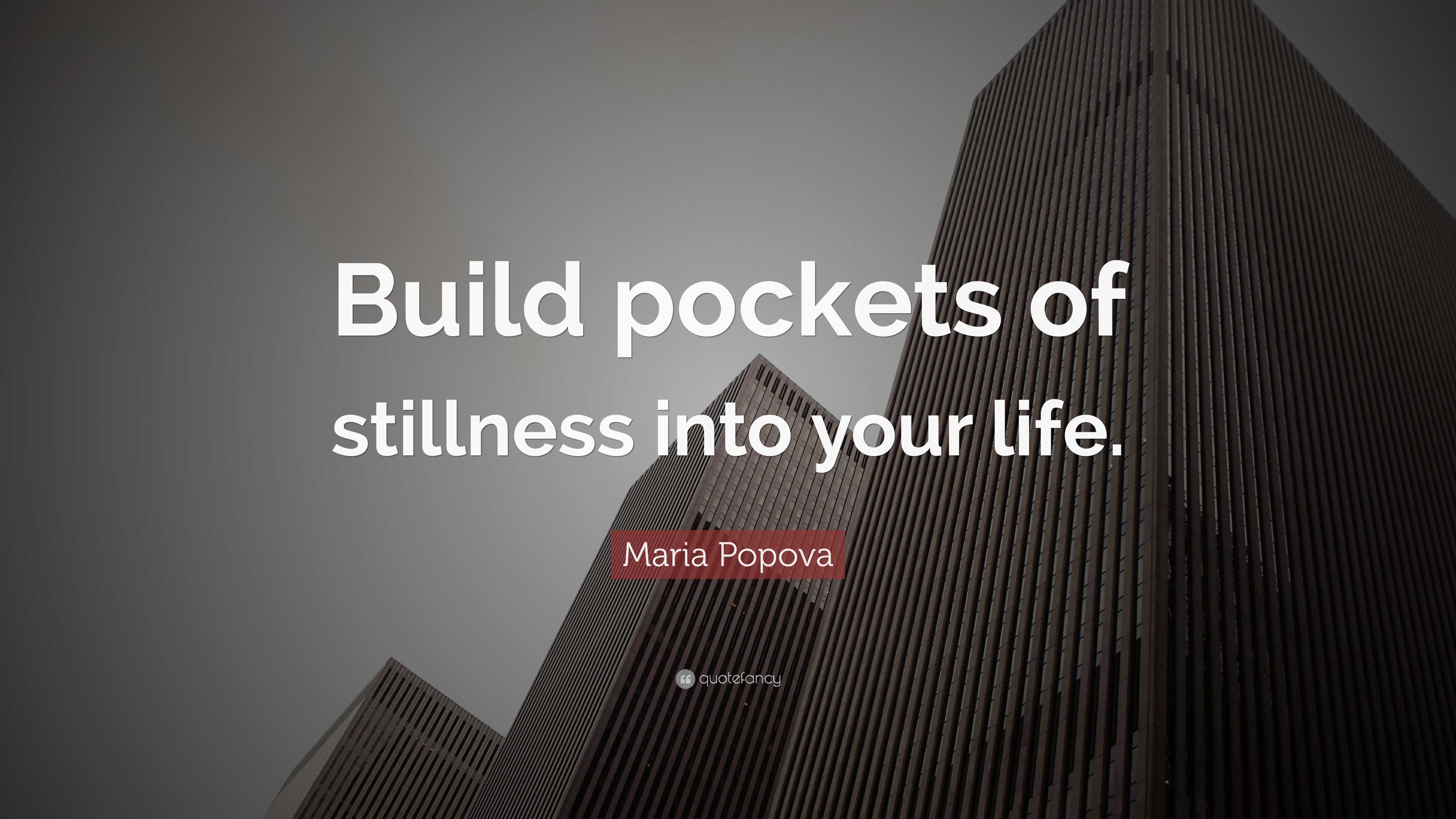 Maria Popova Quote: “Build pockets of stillness into your life.”