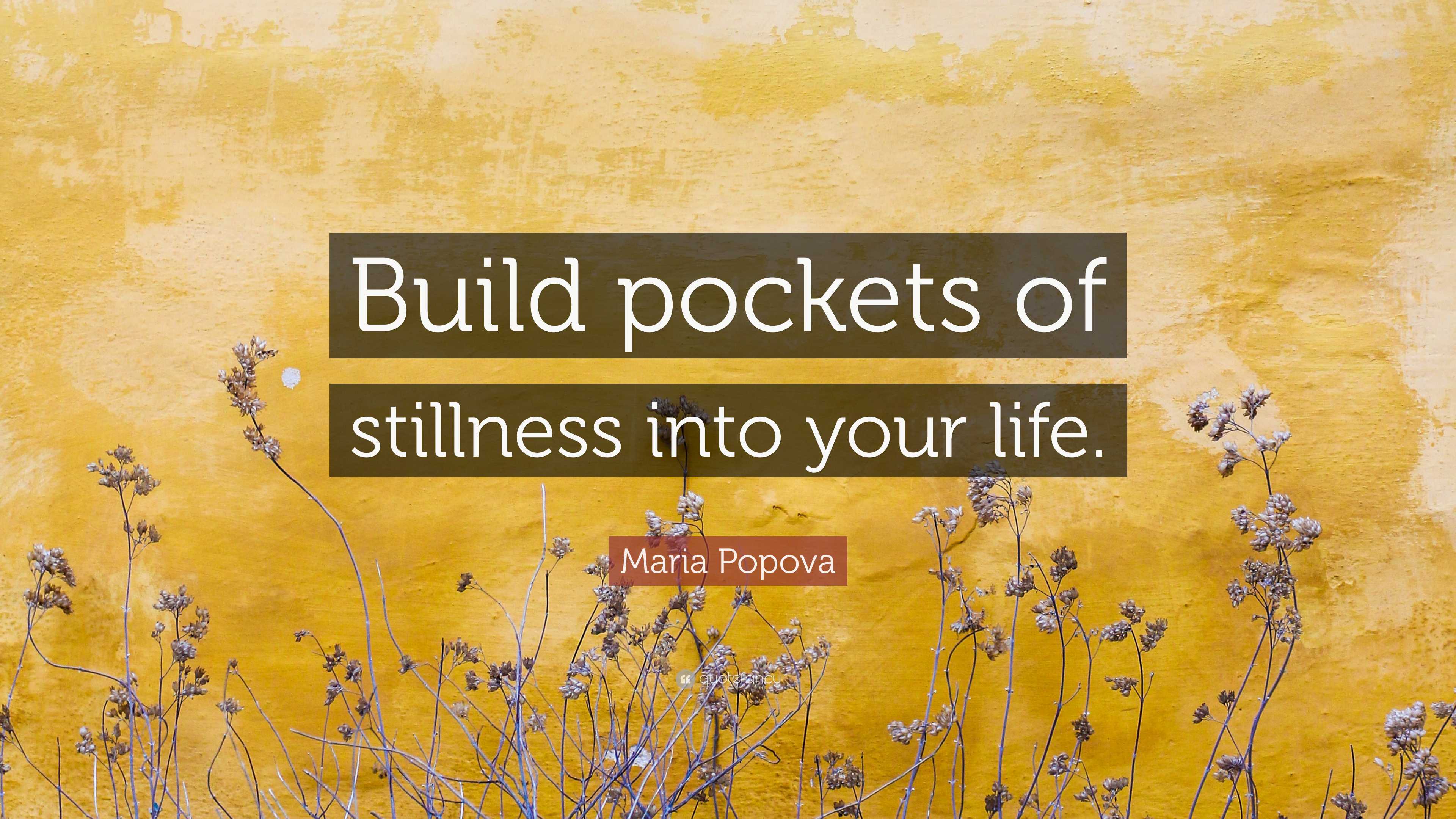 Maria Popova Quote: “Build pockets of stillness into your life.”