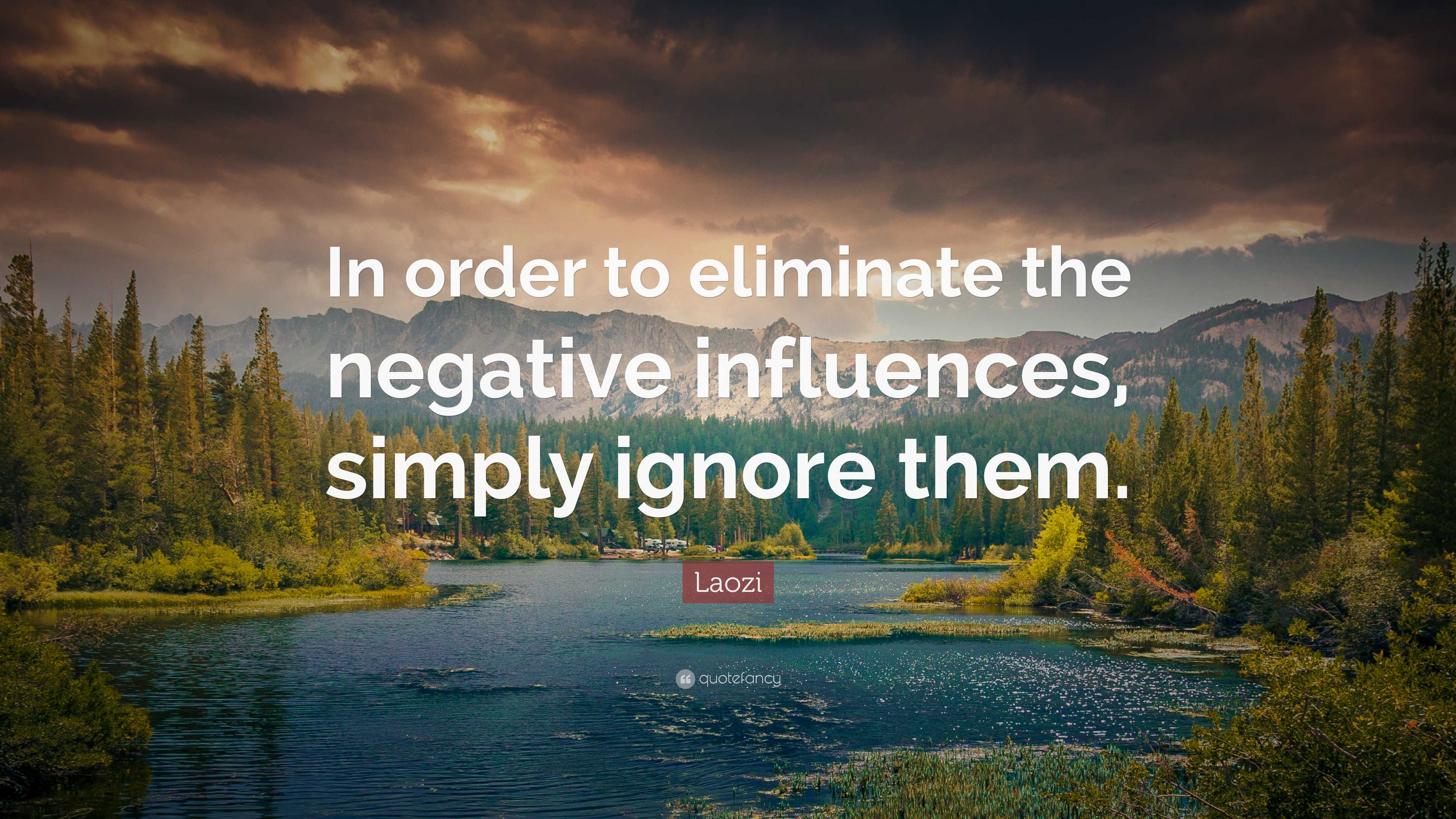 Laozi Quote: “In order to eliminate the negative influences, simply ...
