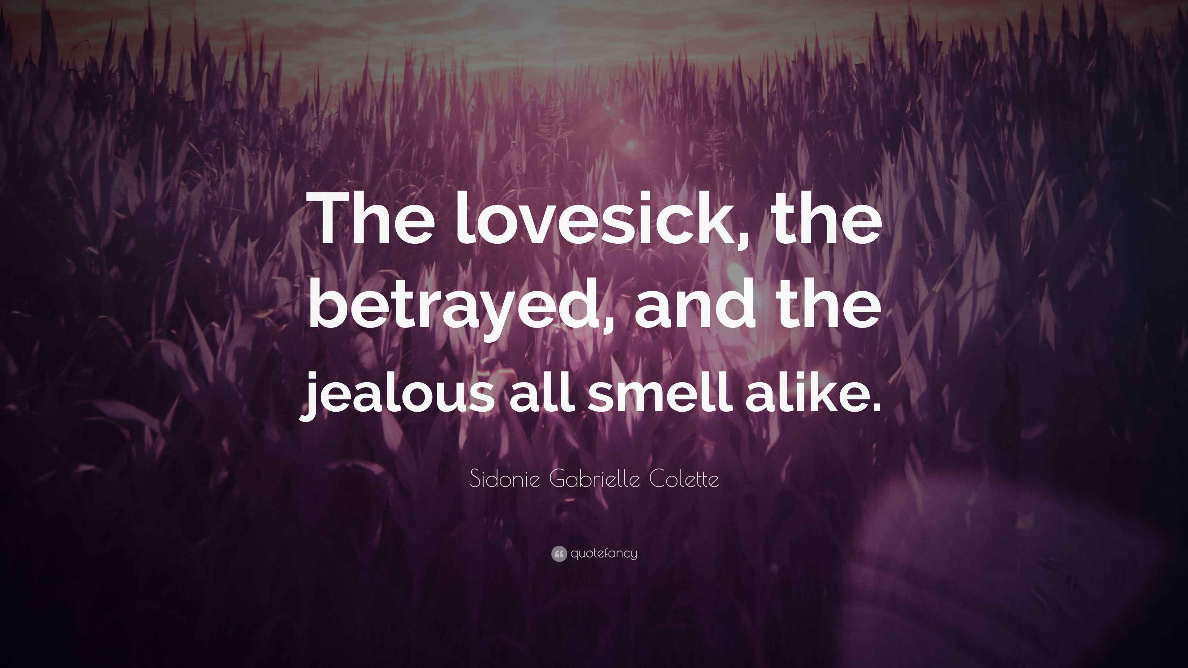 Sidonie Gabrielle Colette Quote: “The lovesick, the betrayed, and the ...