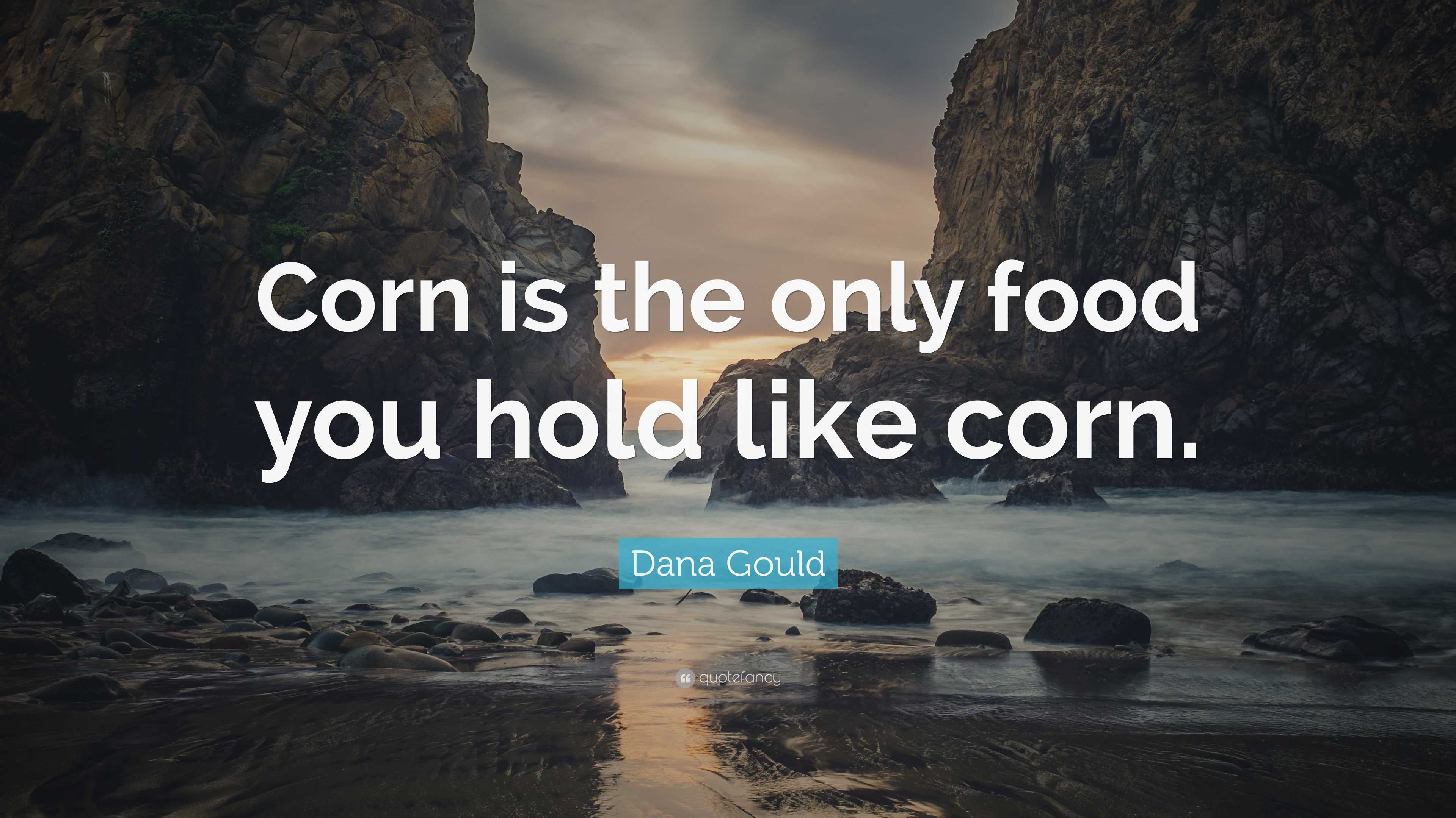 Dana Gould Quote: “Corn is the only food you hold like corn.”