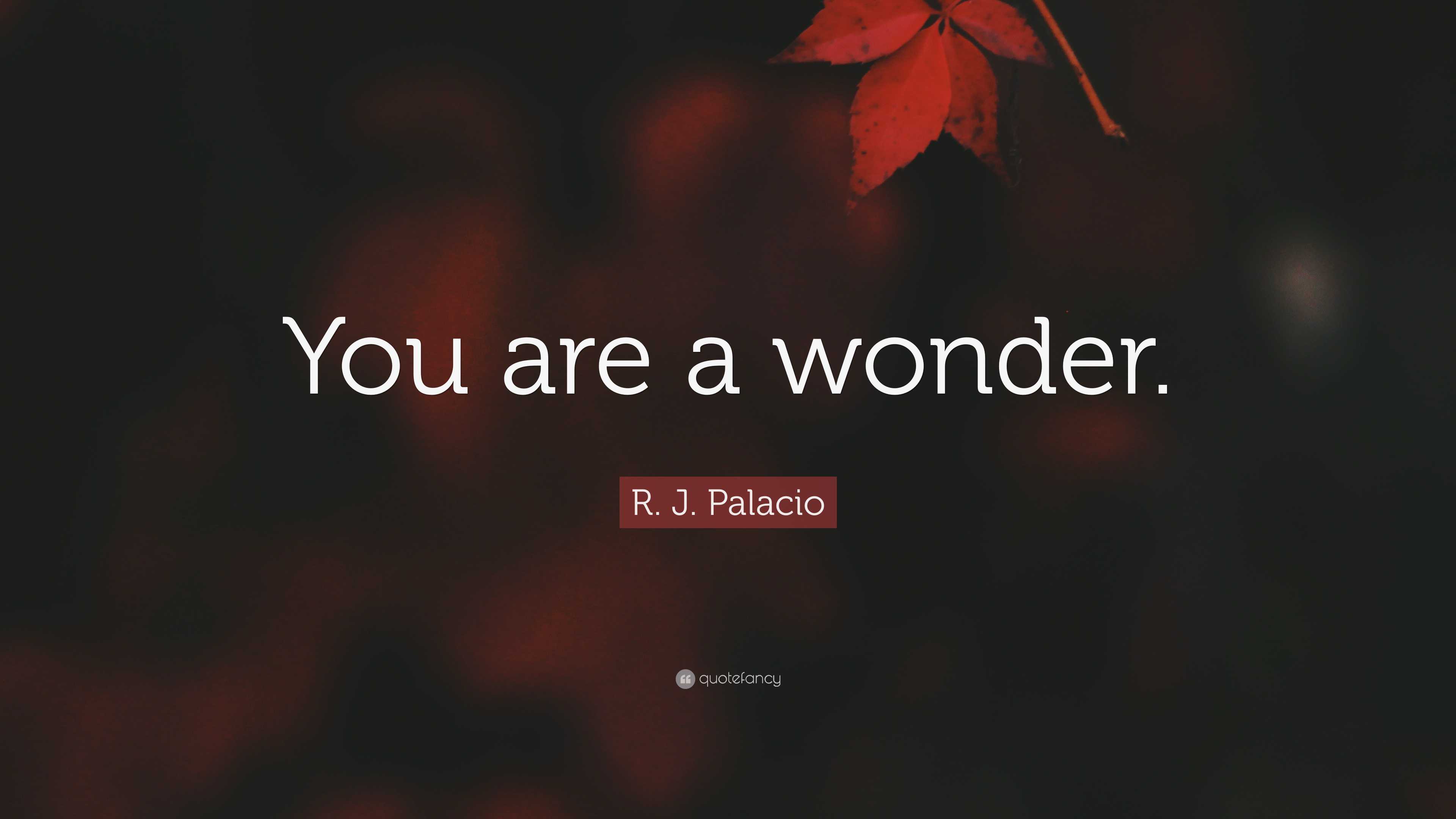 R. J. Palacio Quote: “You are a wonder.”