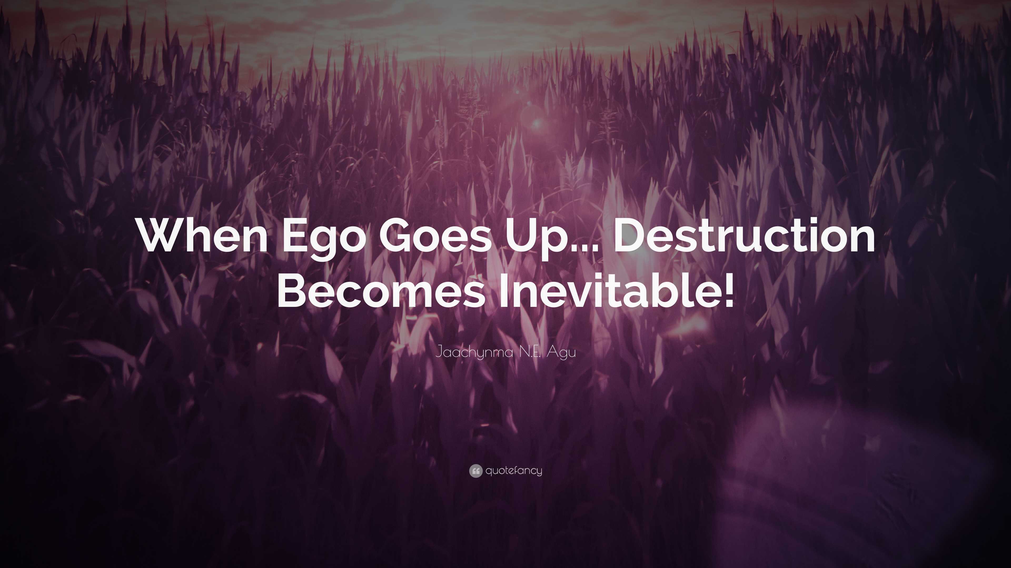 Jaachynma N.E. Agu Quote: “When Ego Goes Up... Destruction Becomes ...