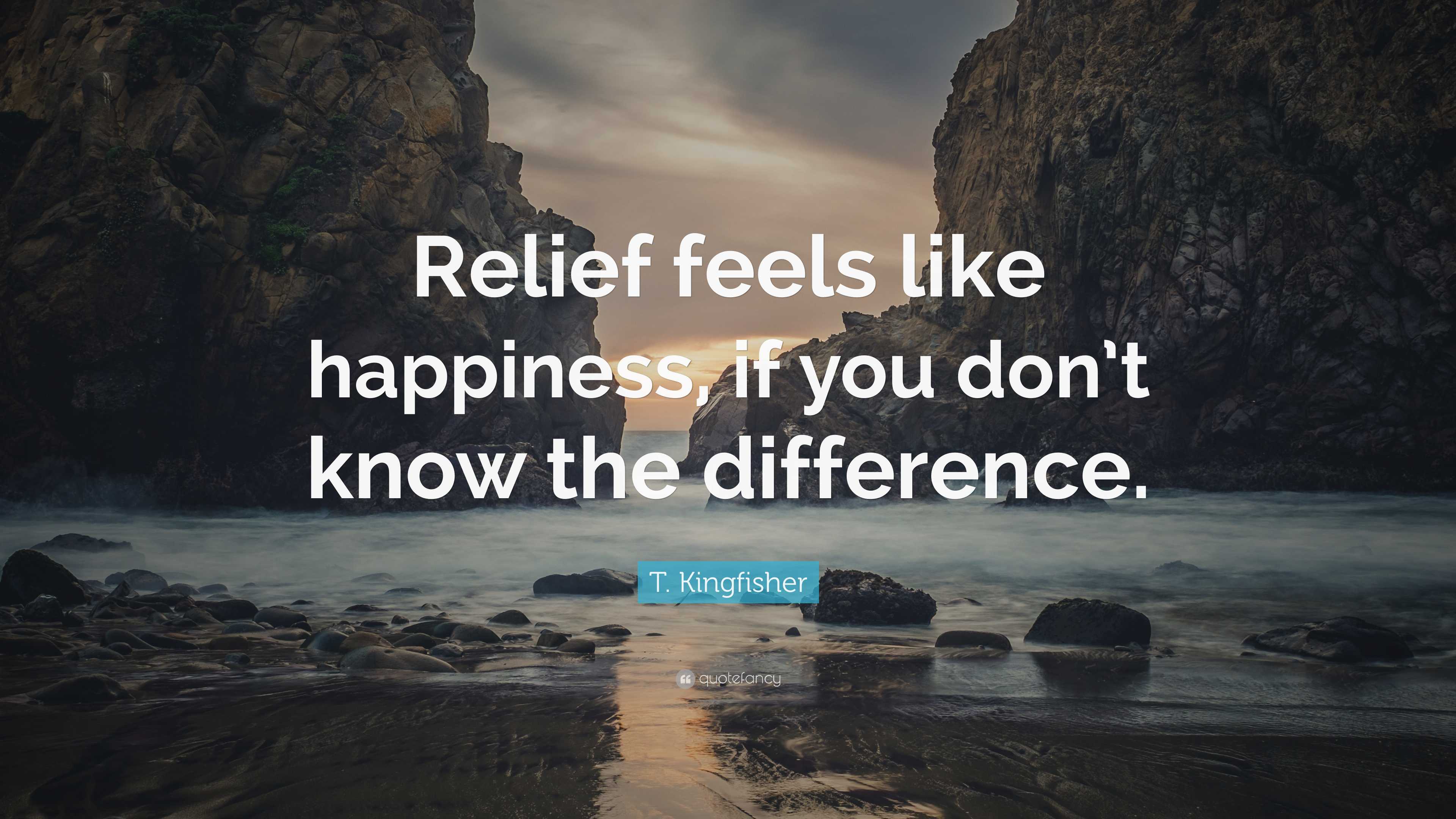 T. Kingfisher Quote: “Relief feels like happiness, if you don’t know ...