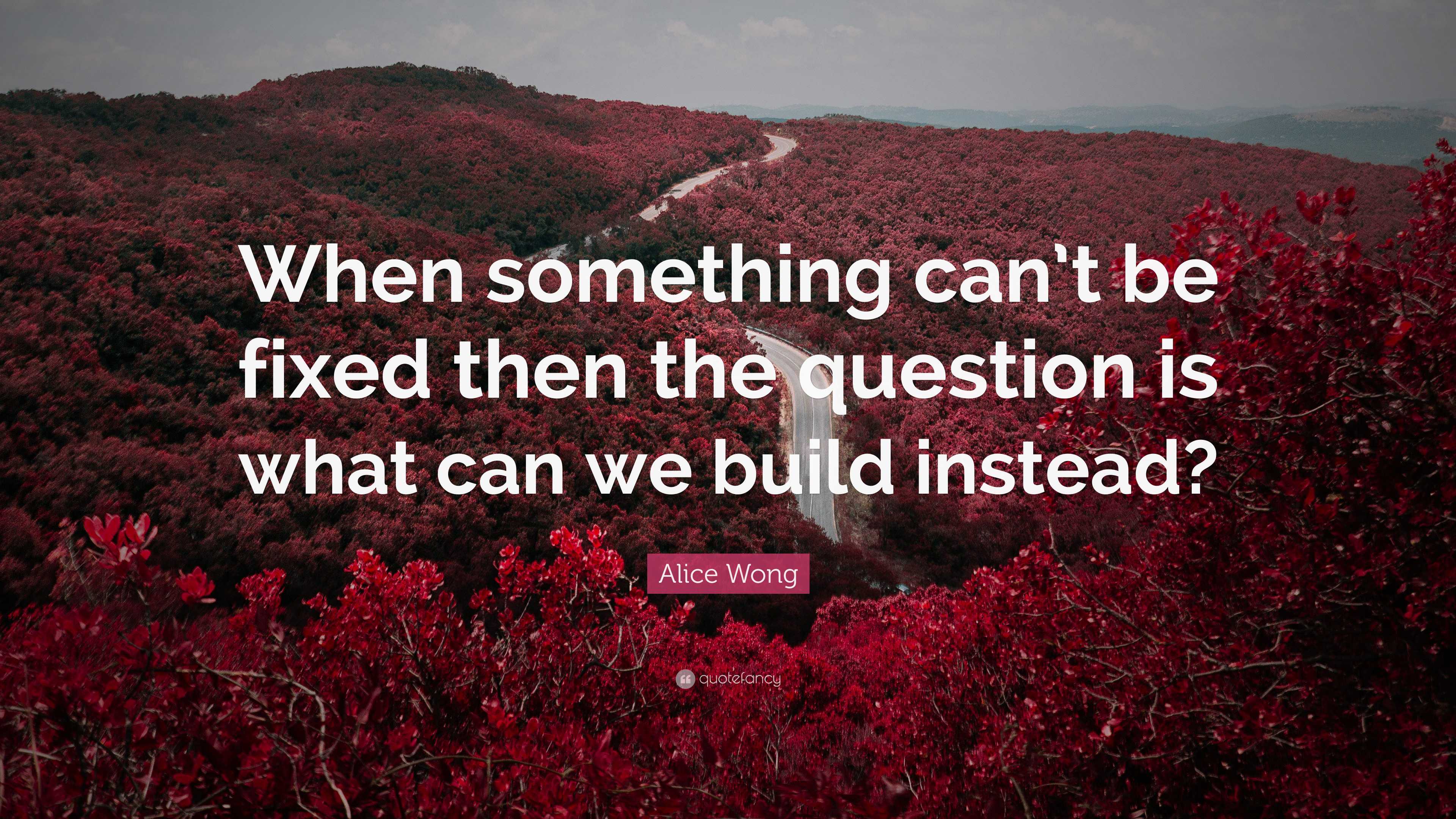 Alice Wong Quote: “When something can’t be fixed then the question is ...