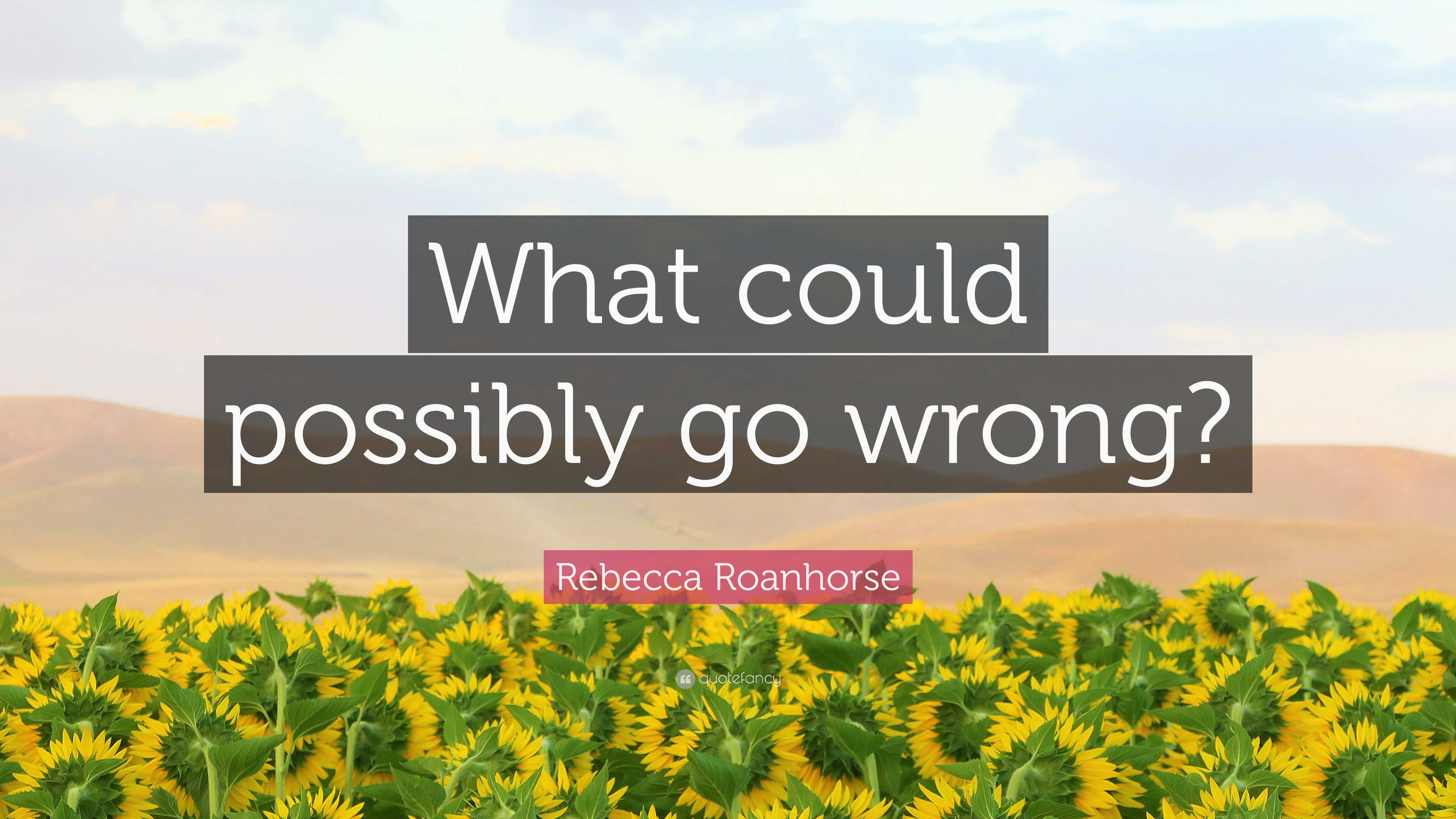 Rebecca Roanhorse Quote: “What could possibly go wrong?”