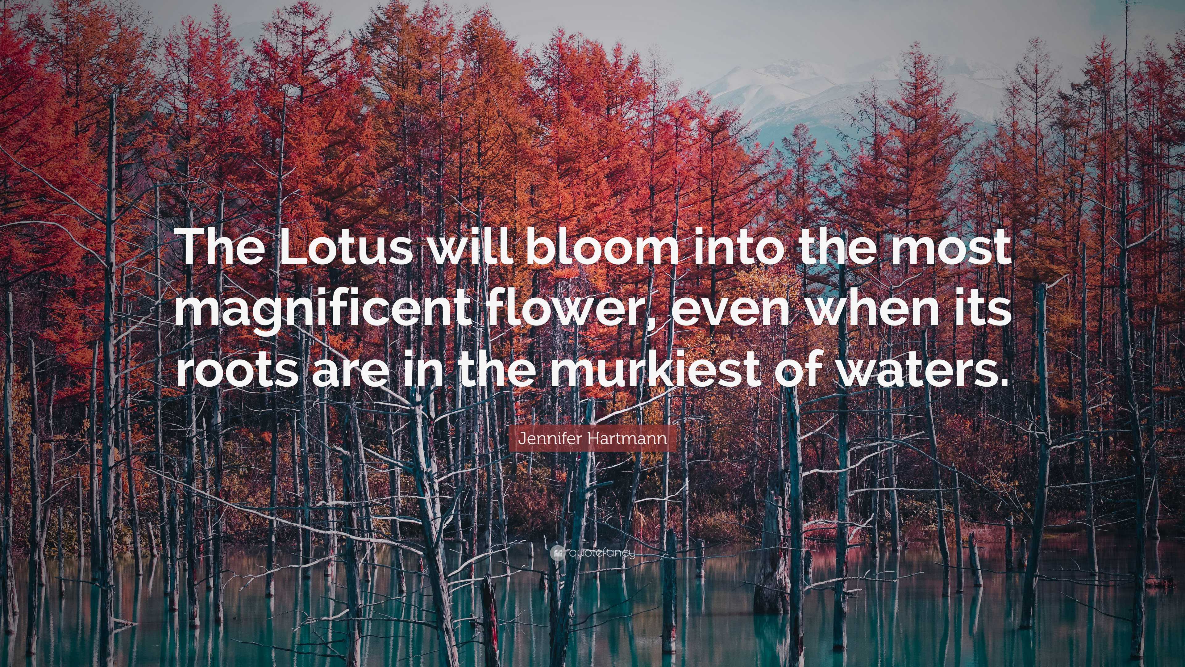 Jennifer Hartmann Quote: “The Lotus will bloom into the most ...