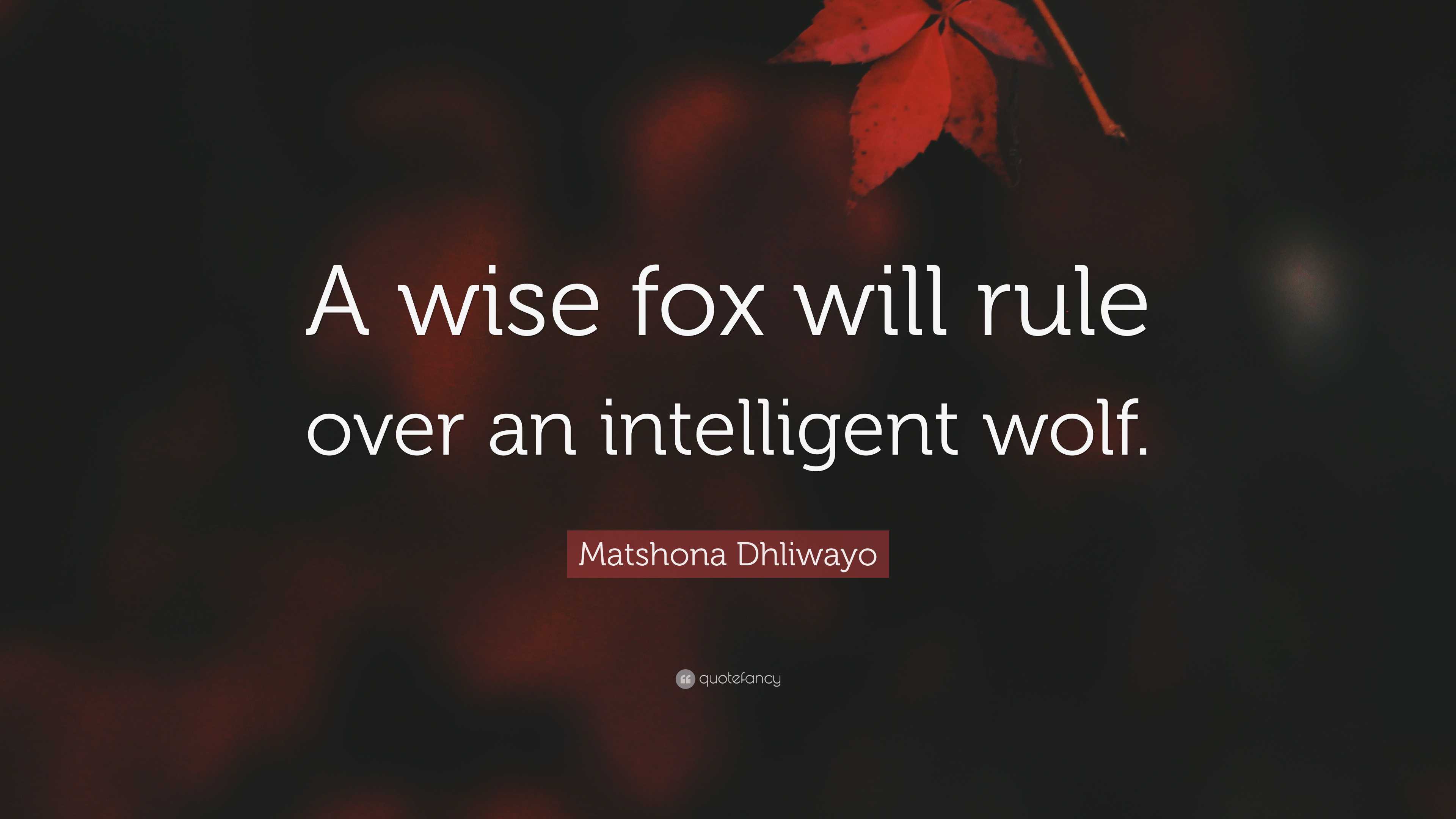 Matshona Dhliwayo Quote: “A wise fox will rule over an intelligent wolf.”