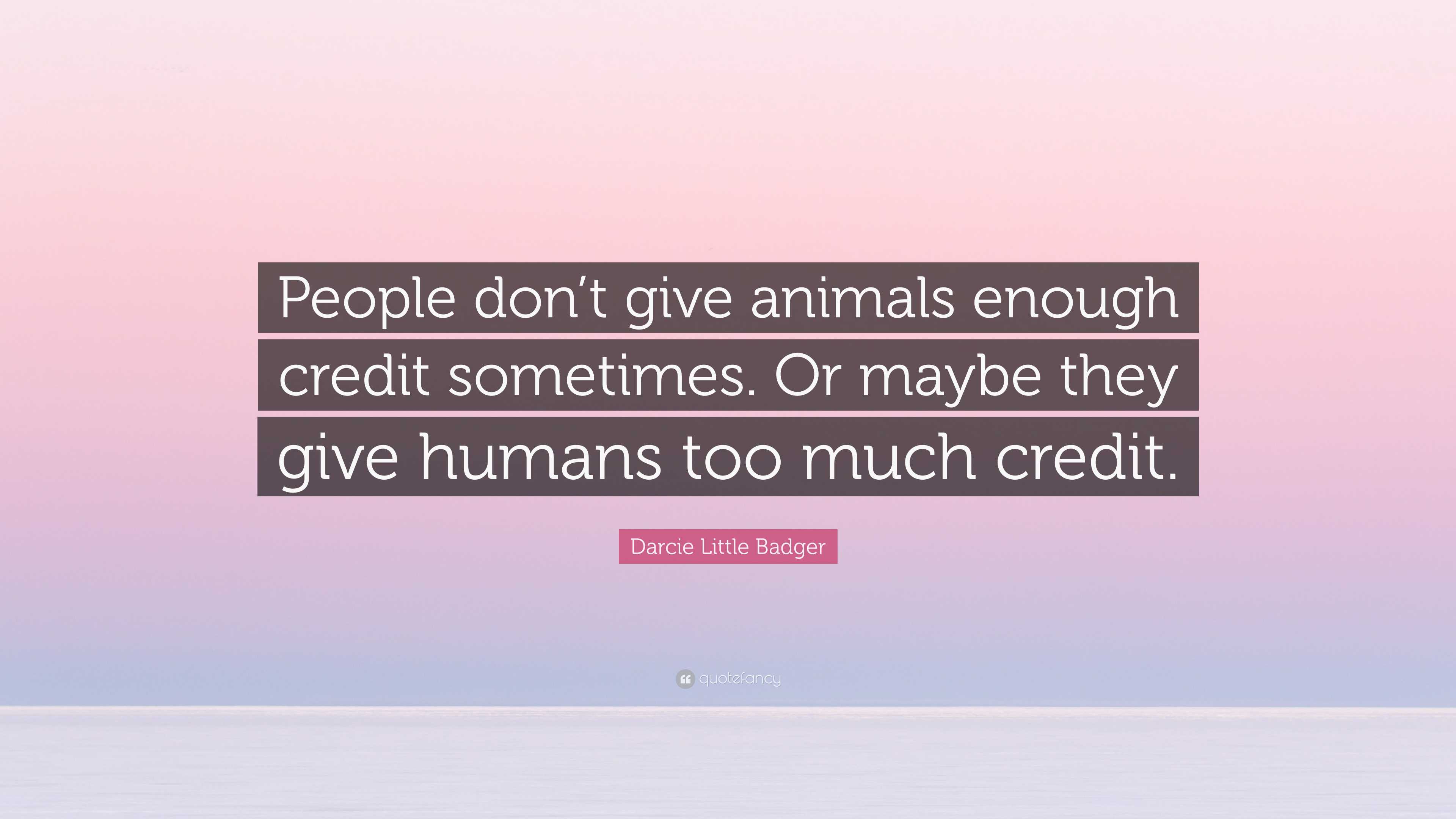Darcie Little Badger Quote: “People don’t give animals enough credit ...