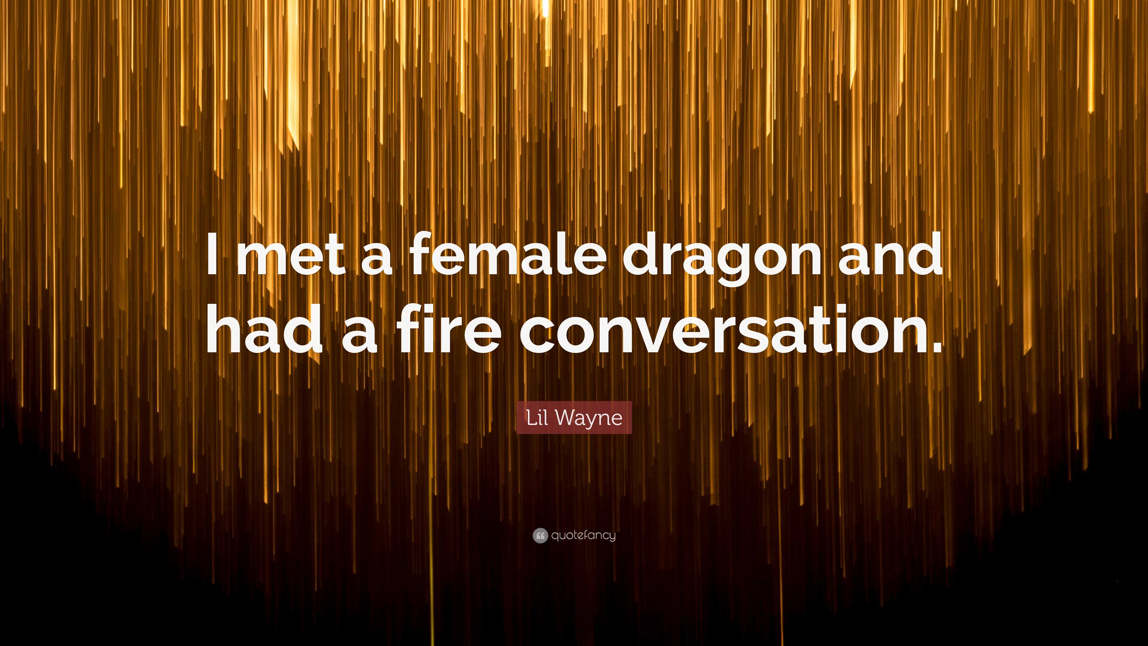 Lil Wayne Quote: “I met a female dragon and had a fire conversation.”