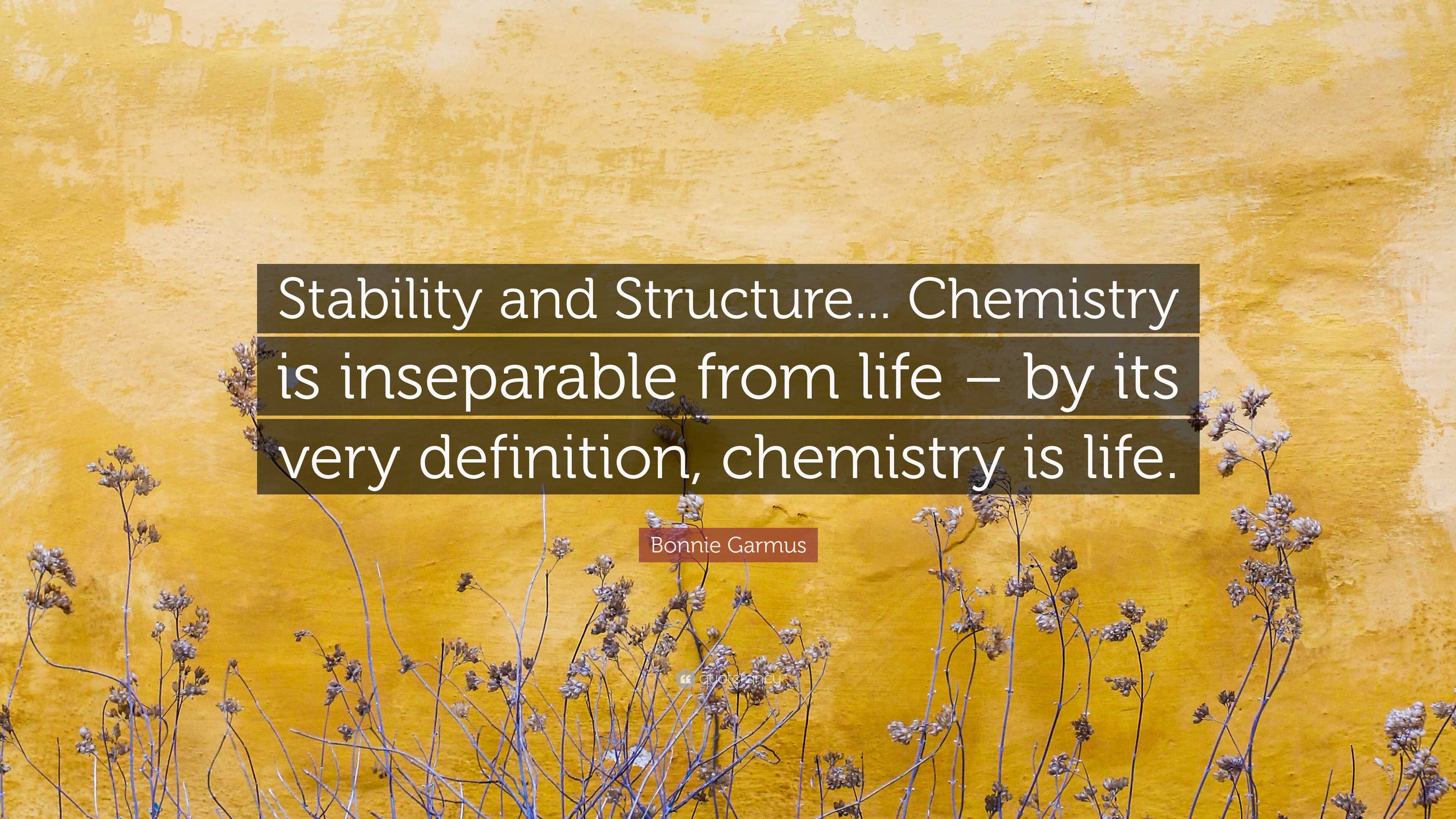 Bonnie Garmus Quote: “Stability and Structure... Chemistry is ...