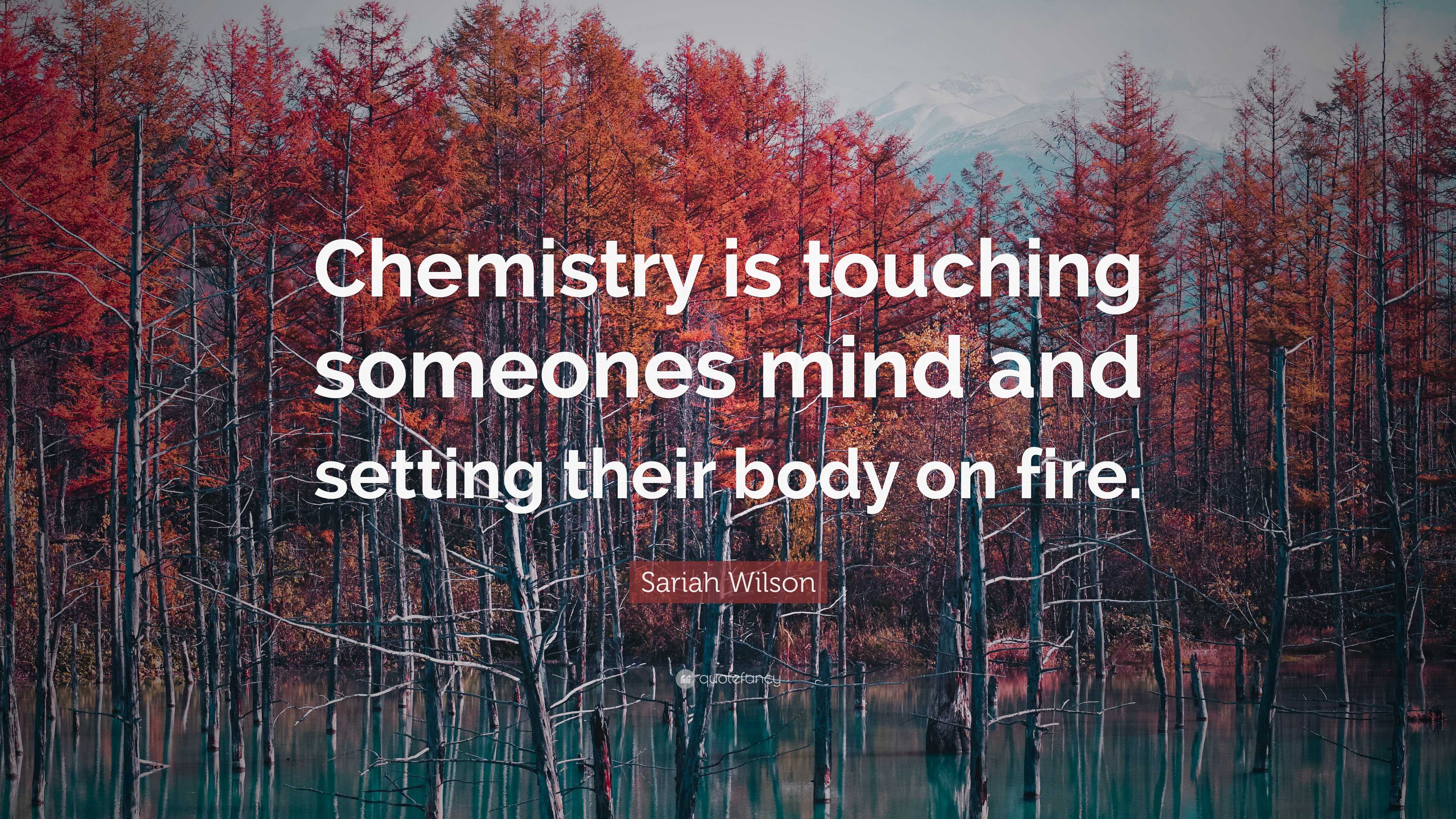Sariah Wilson Quote: “Chemistry is touching someones mind and setting ...