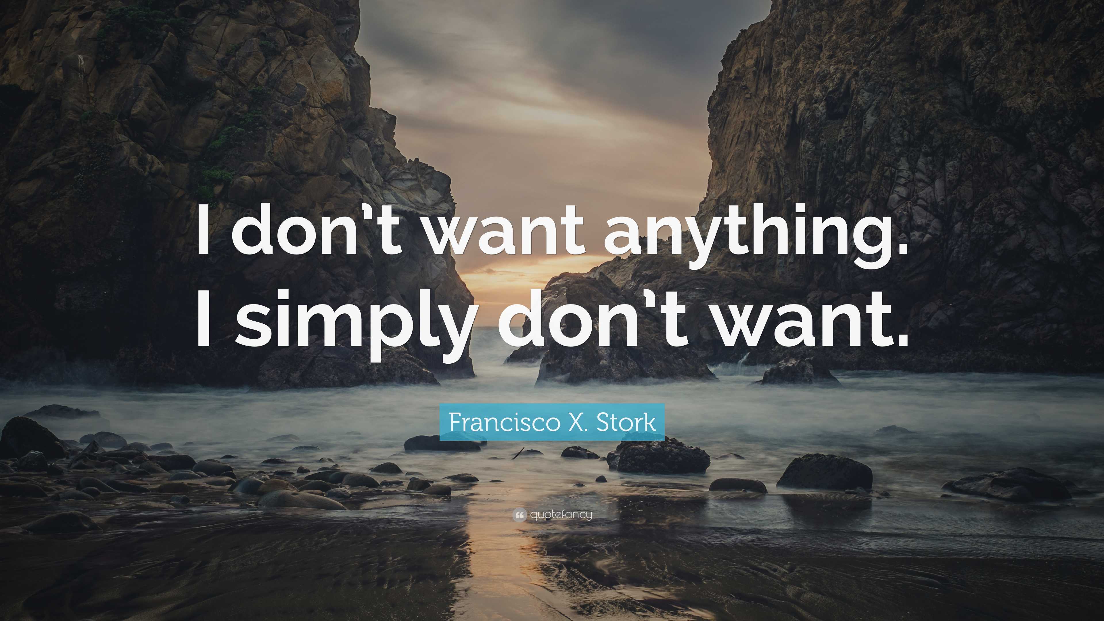 Francisco X. Stork Quote: “I don’t want anything. I simply don’t want.”