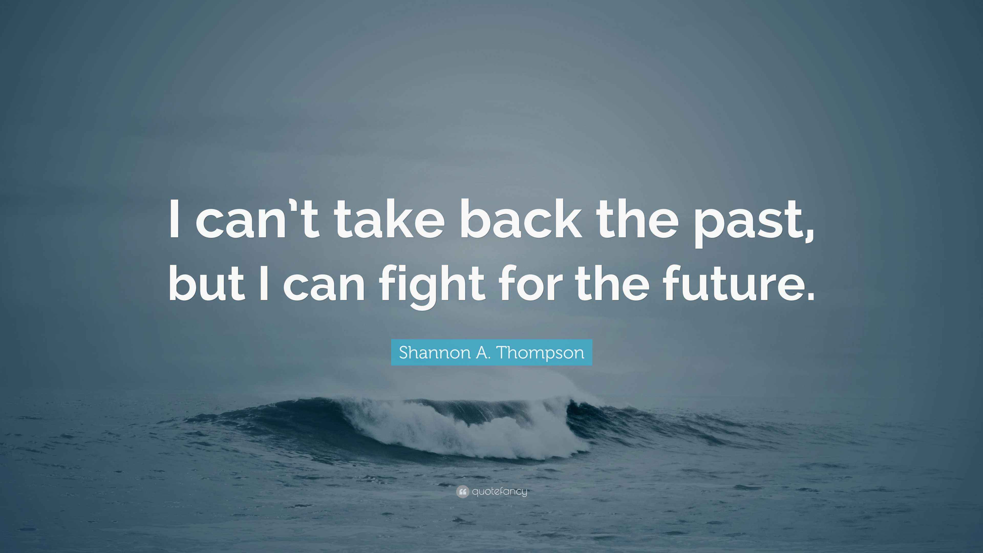 Shannon A. Thompson Quote: “I can’t take back the past, but I can fight ...