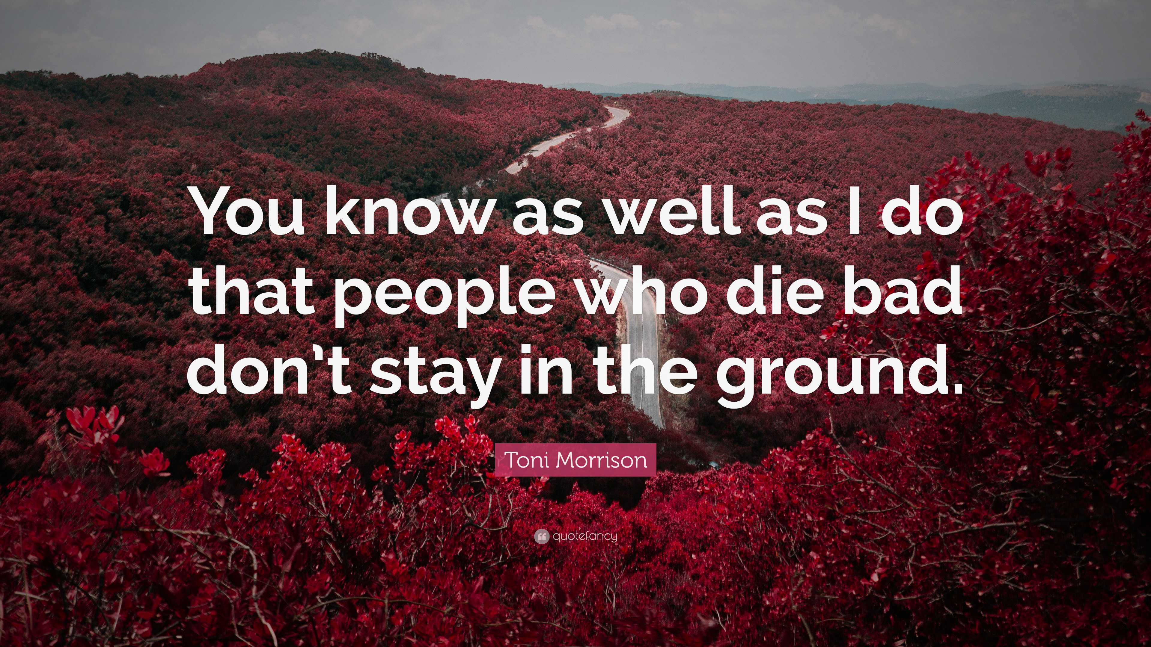 Toni Morrison Quote: “You know as well as I do that people who die bad ...