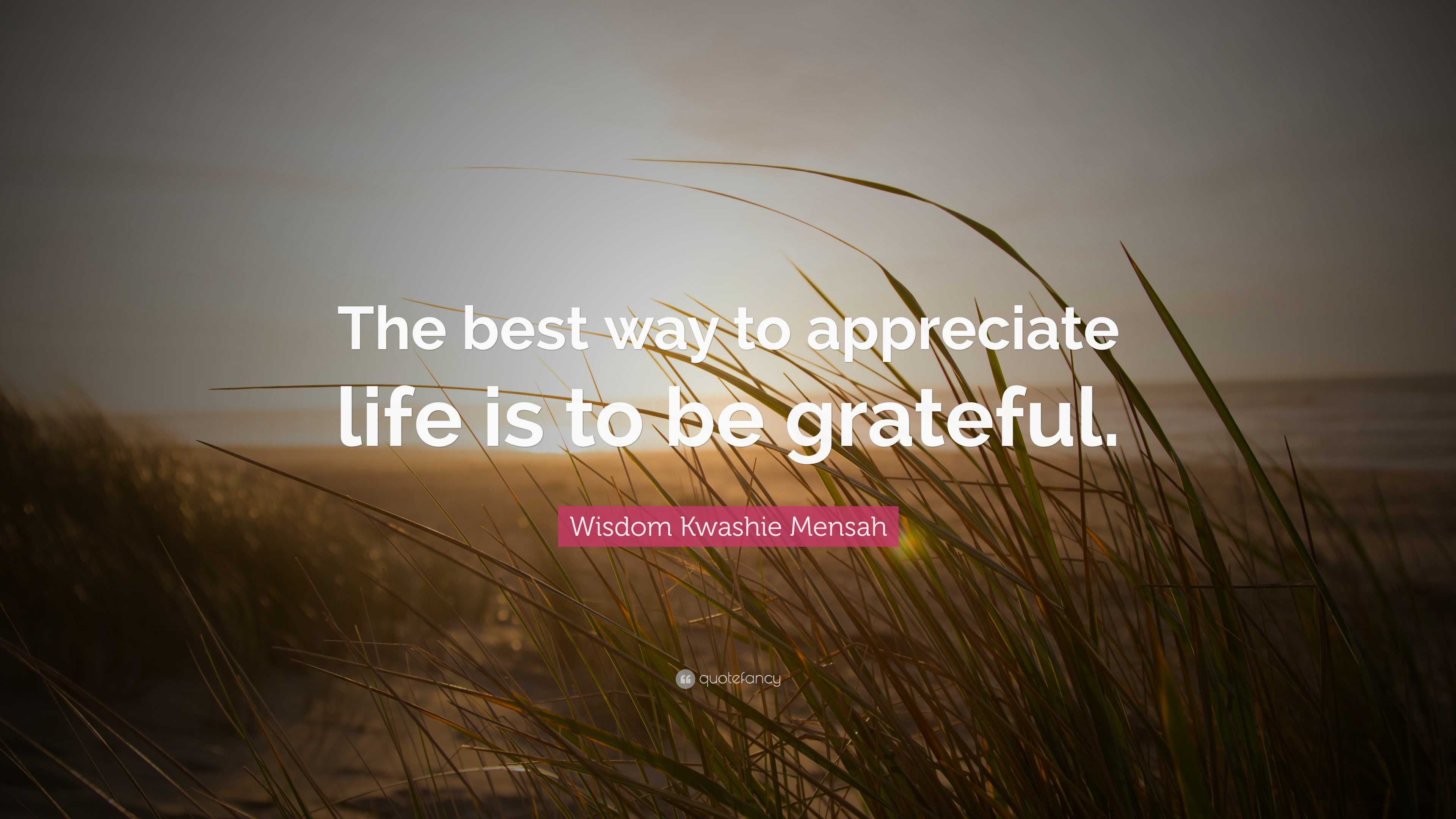 Wisdom Kwashie Mensah Quote: “The best way to appreciate life is to be ...