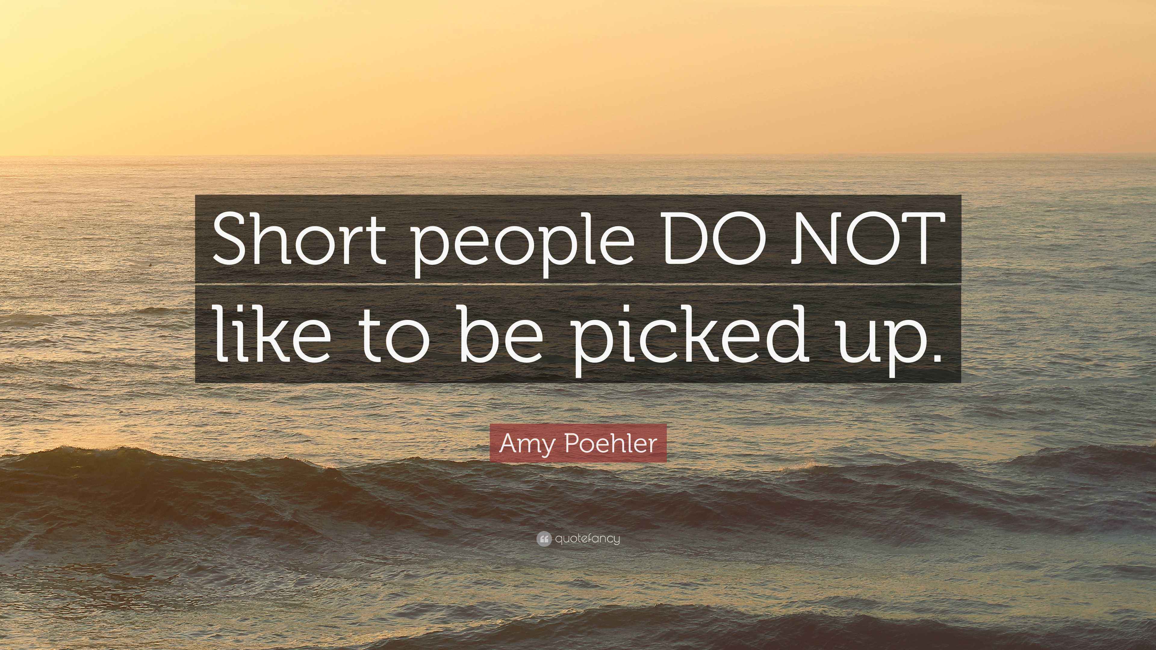 Amy Poehler Quote: “Short people DO NOT like to be picked up.”