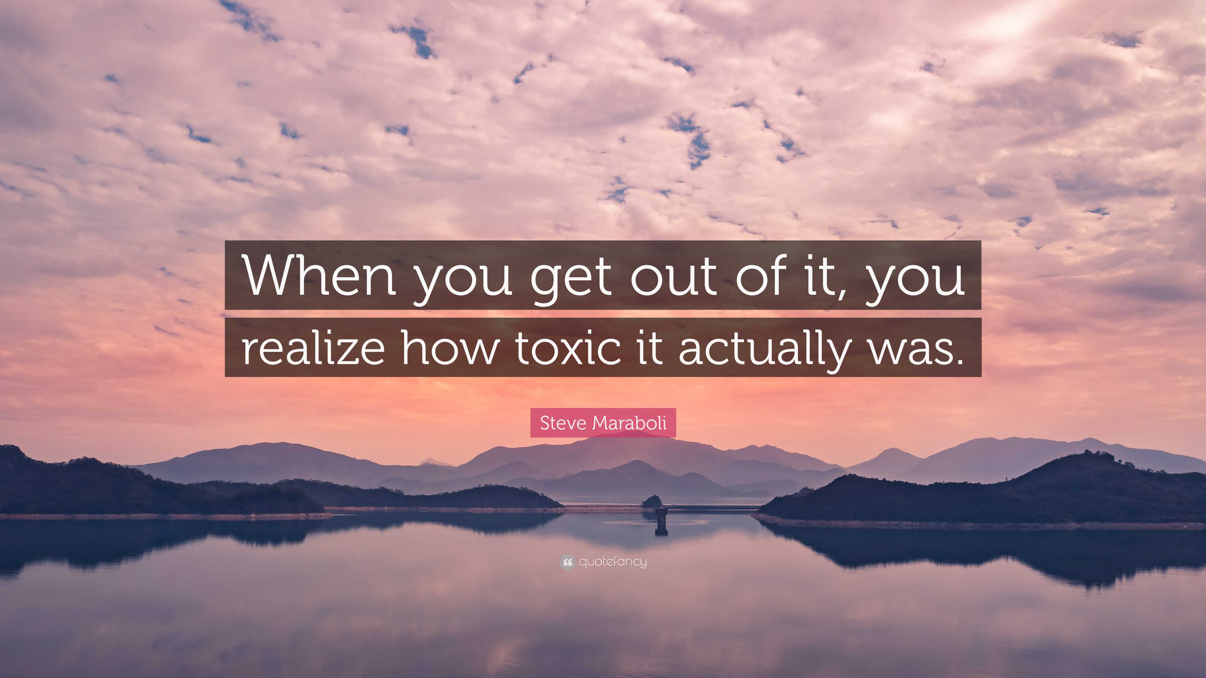 Steve Maraboli Quote: “When you get out of it, you realize how toxic it ...