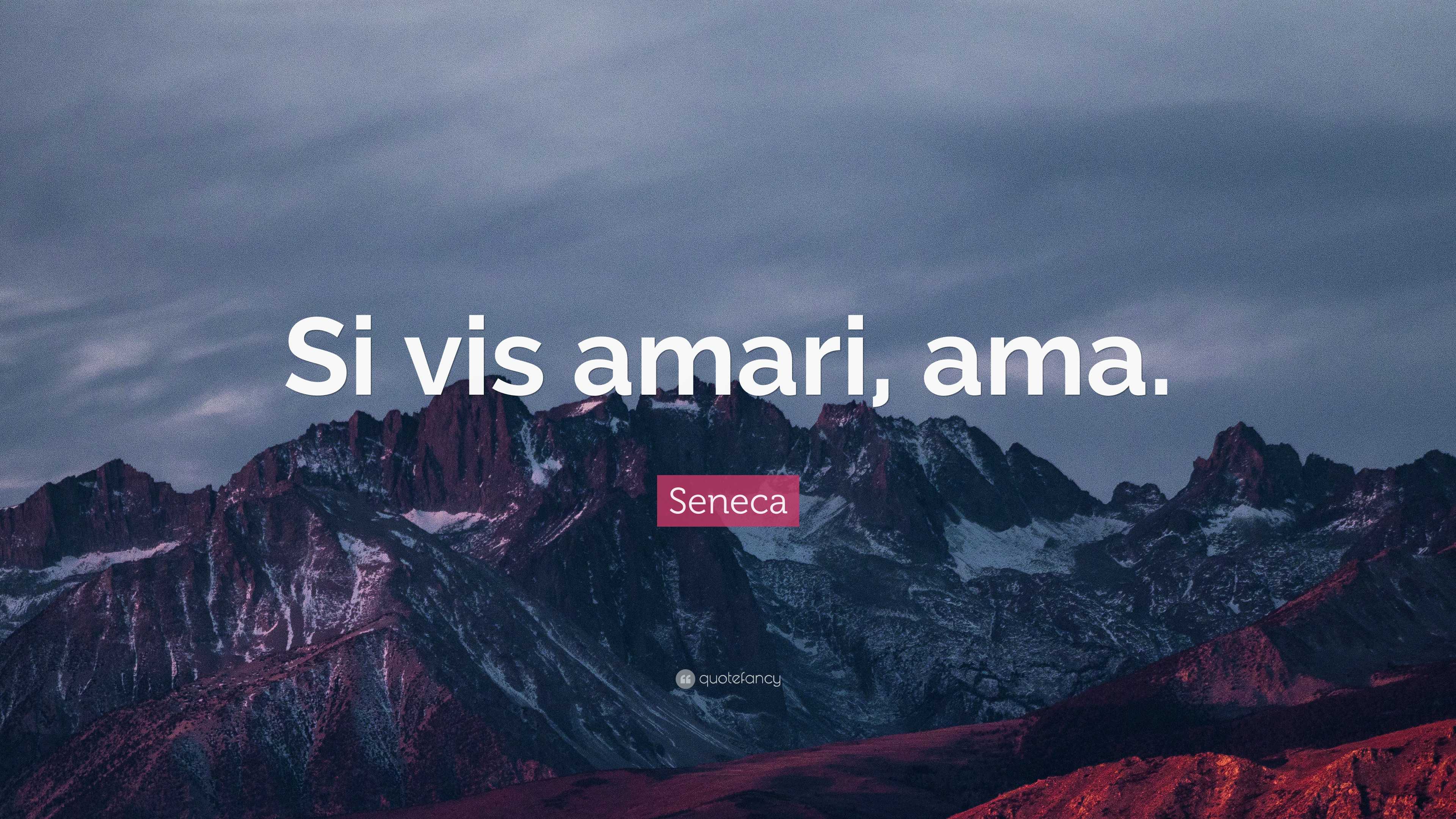 Seneca Quote: “Si vis amari, ama.”